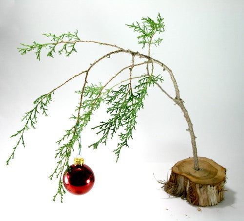 Make a Charlie Brown Christmas Tree : 6 Steps (with Pictures ...