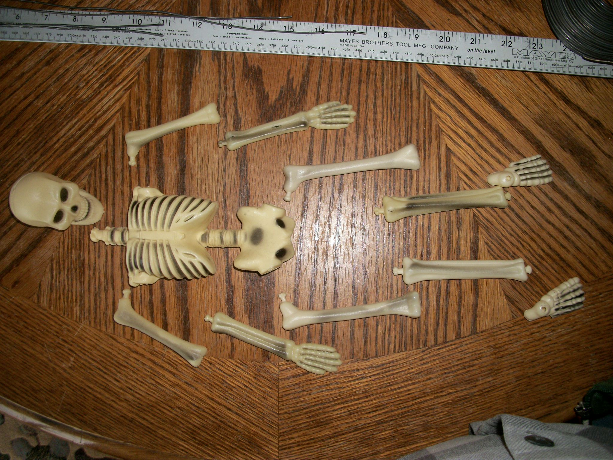 Posable Skelly : 5 Steps (with Pictures) - Instructables