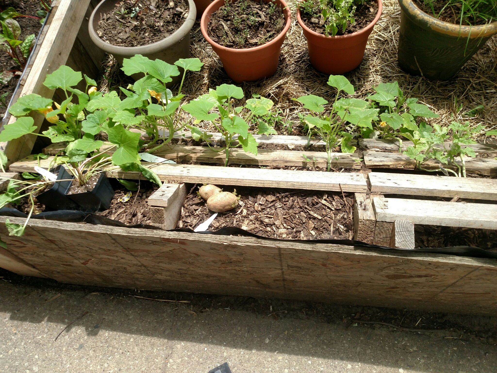 Outdoor Pallet Garden : 10 Steps (with Pictures) - Instructables