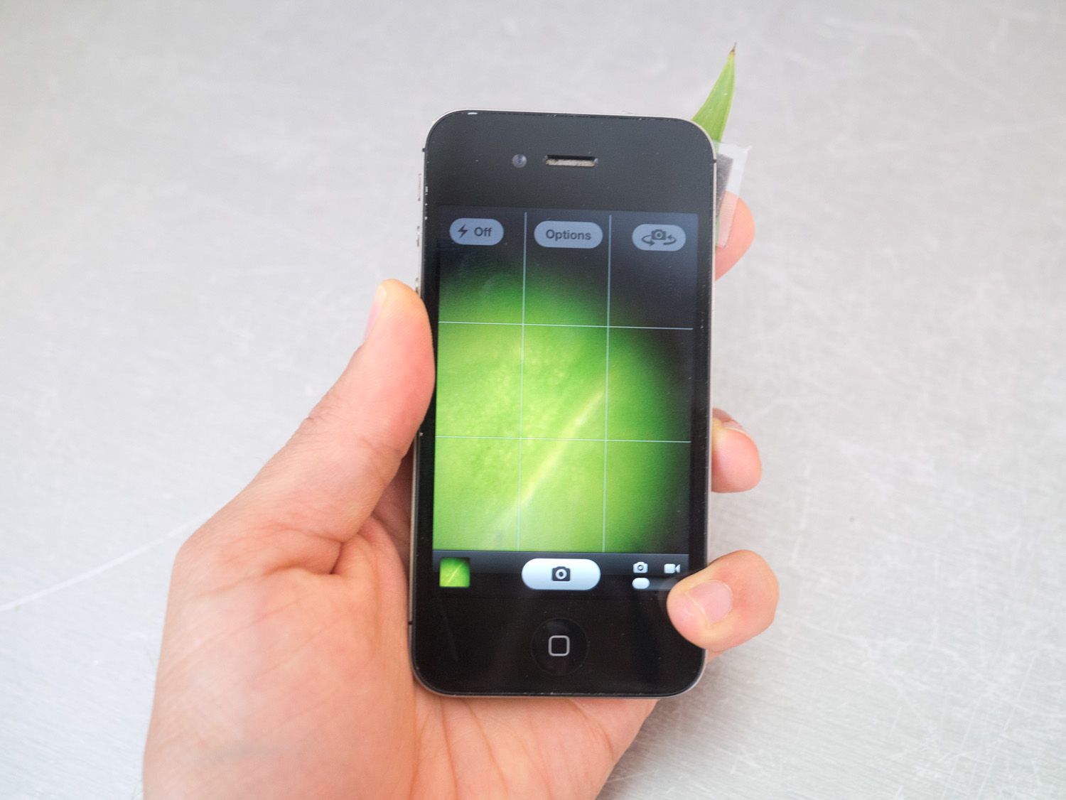 Cheap and Easy IPhone Microscope : 3 Steps (with Pictures) - Instructables