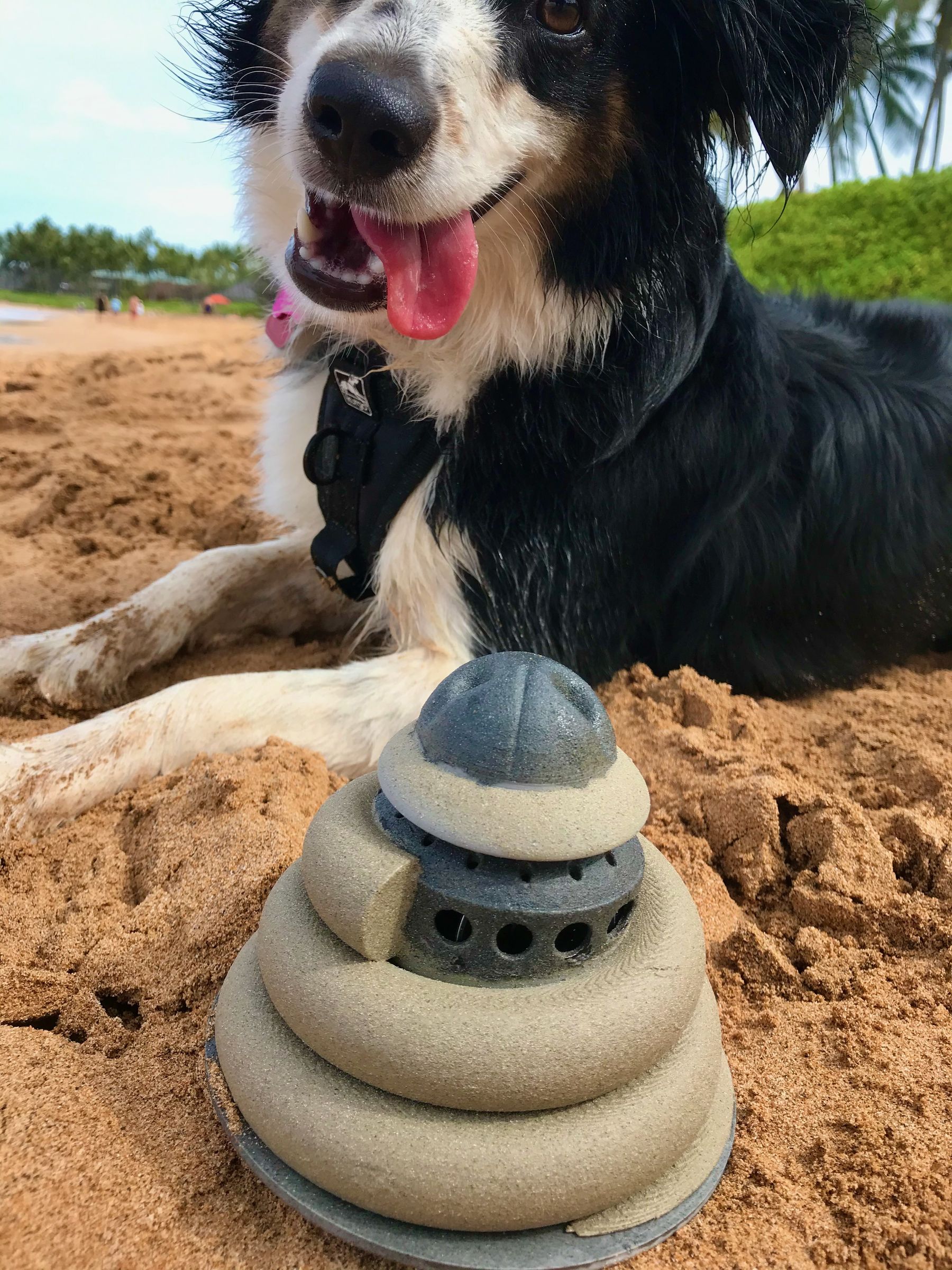Doggo Boop Alert : 5 Steps - Instructables