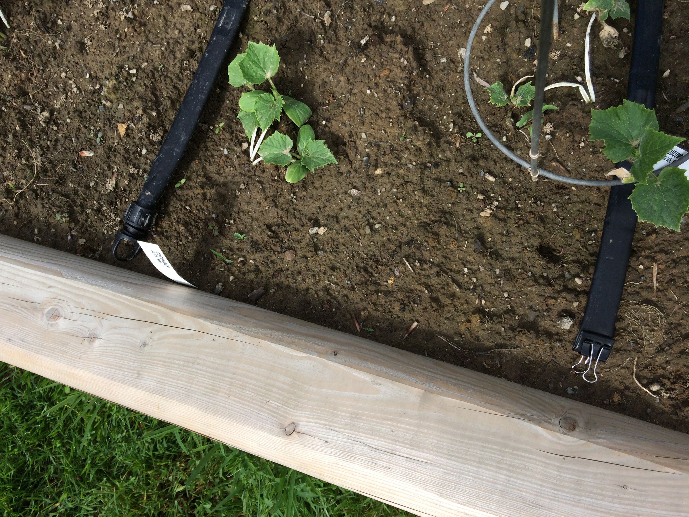 Improving a Big-box Drip Irrigation Kit : 4 Steps (with Pictures ...