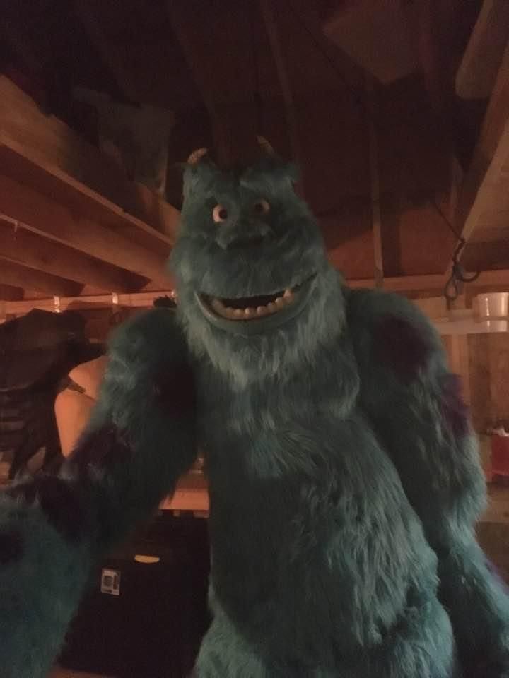 The Ultimate Sully Costume : 7 Steps (with Pictures) - Instructables