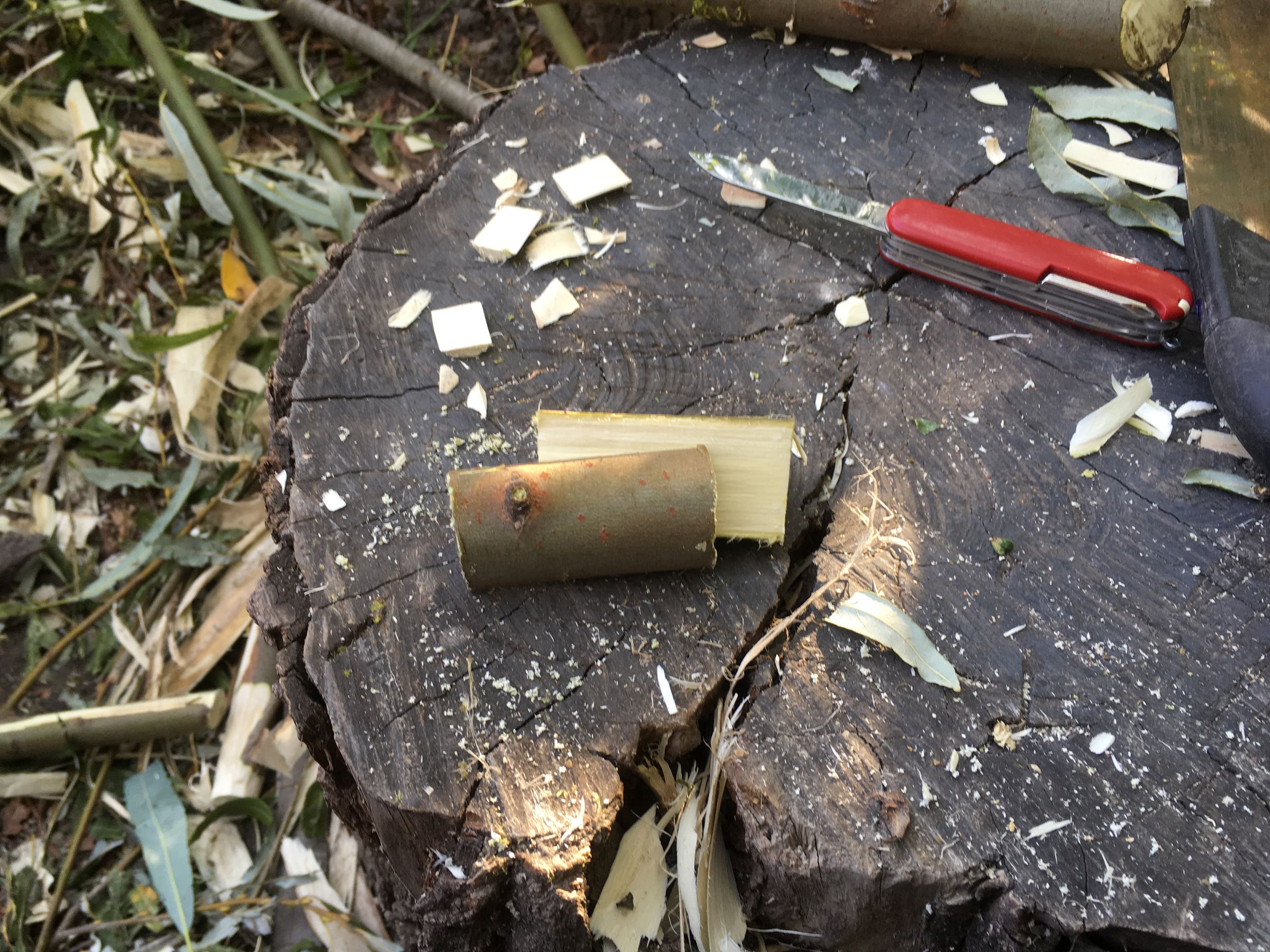 5 Super-easy Branch Carving Projects : 10 Steps (with Pictures ...