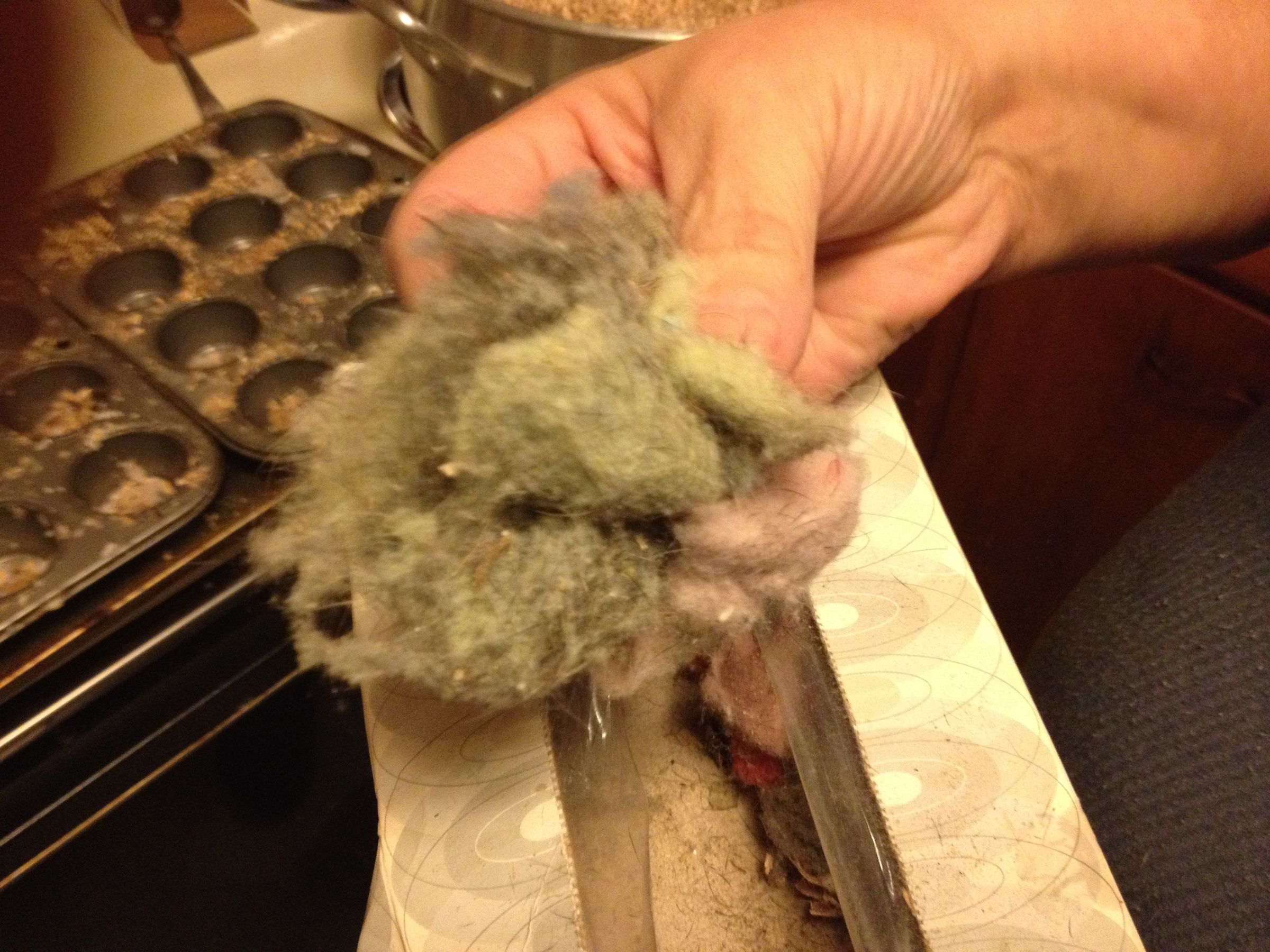 The Best Fire Starter I've Ever Found, Cheap & Easy to Make Yourself ...