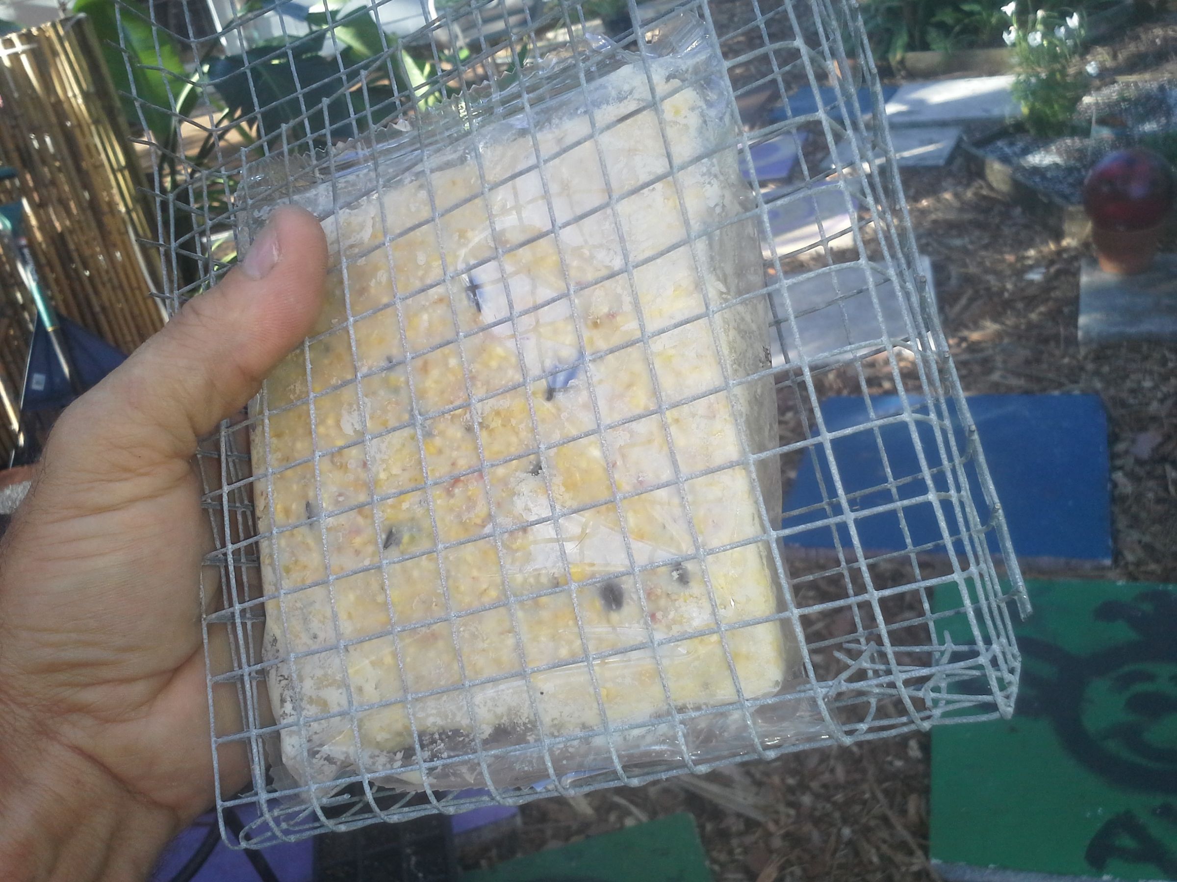 Suet Cage From Scrap Mesh and Wire. : 8 Steps - Instructables