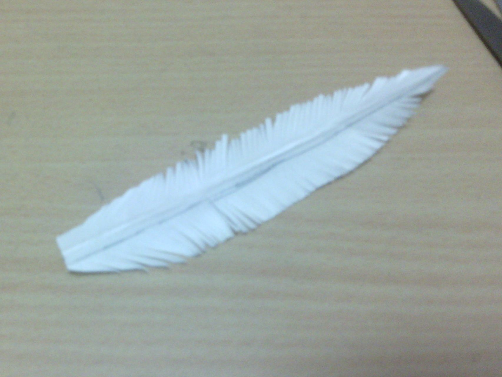 How to Add a Fake Feather to Your Pencil/pen. : 4 Steps - Instructables