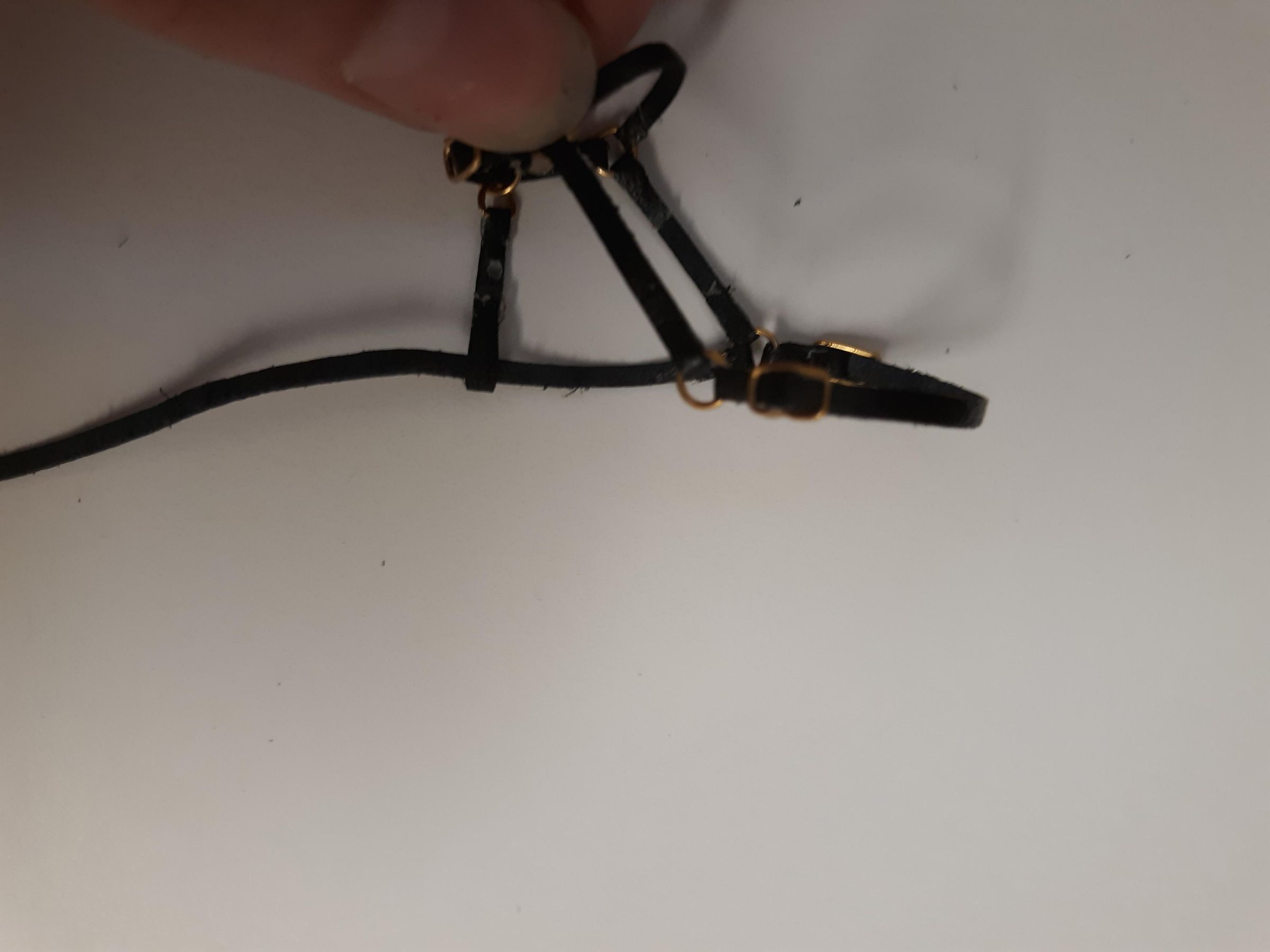 Model Horse Leather Halter : 11 Steps (with Pictures) - Instructables