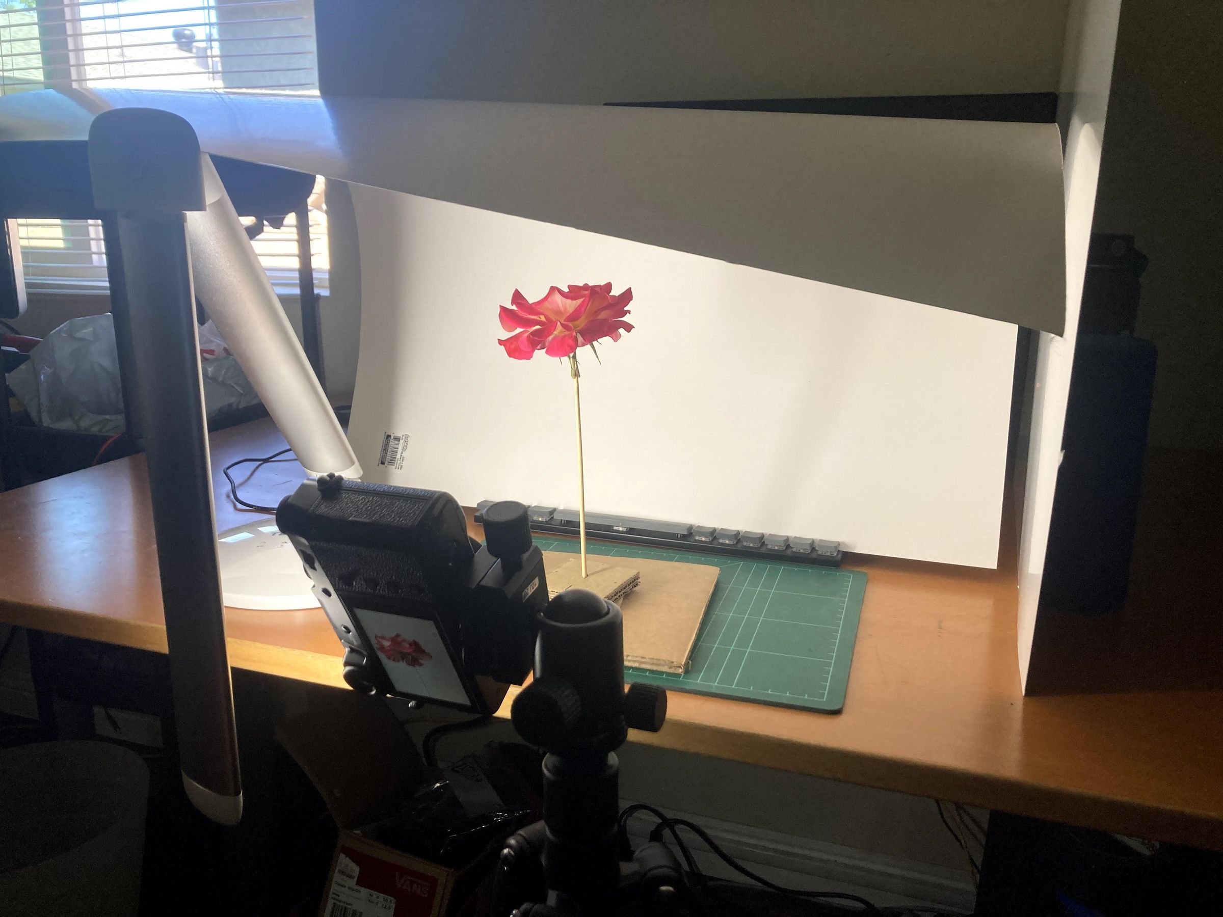 Flower Photogrammetry : 4 Steps - Instructables