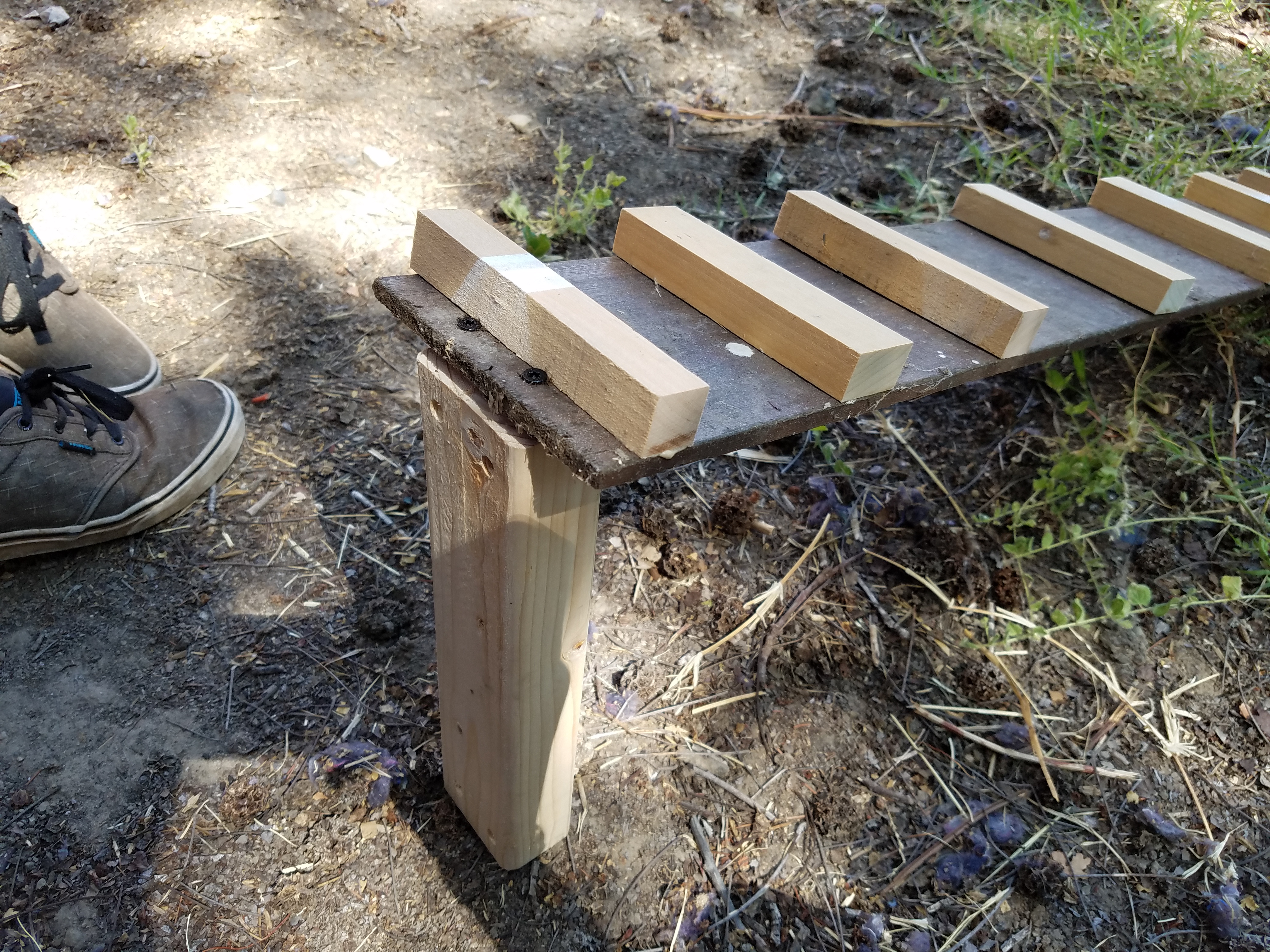 Chicken Ladder : 5 Steps (with Pictures) - Instructables
