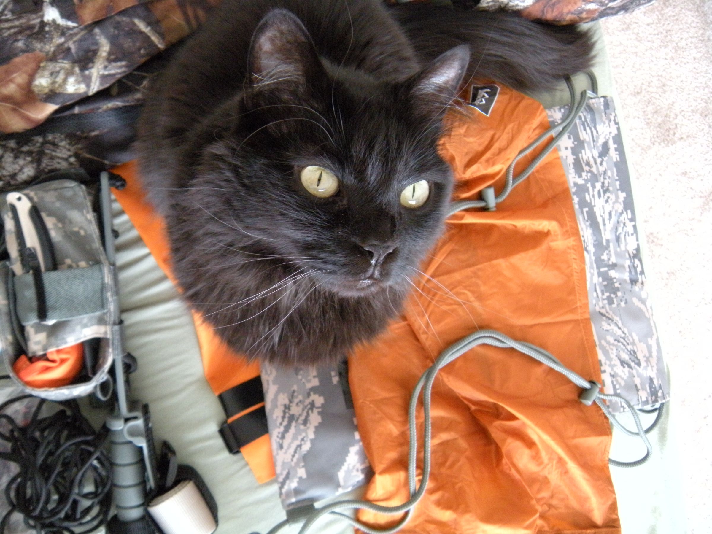 A Comprehensive Bail Out Bag : 4 Steps - Instructables