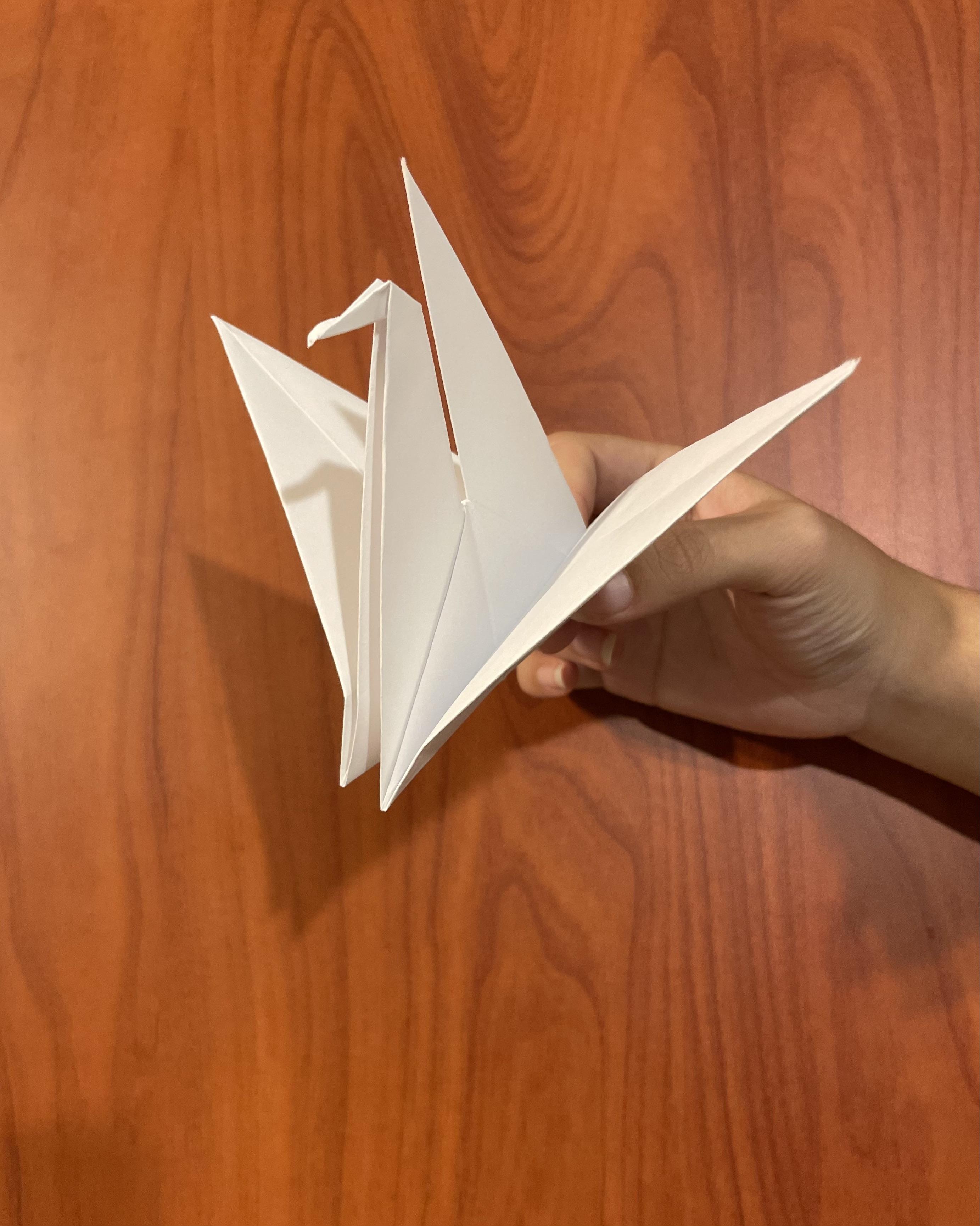 Origami Cranes : 19 Steps (with Pictures) - Instructables