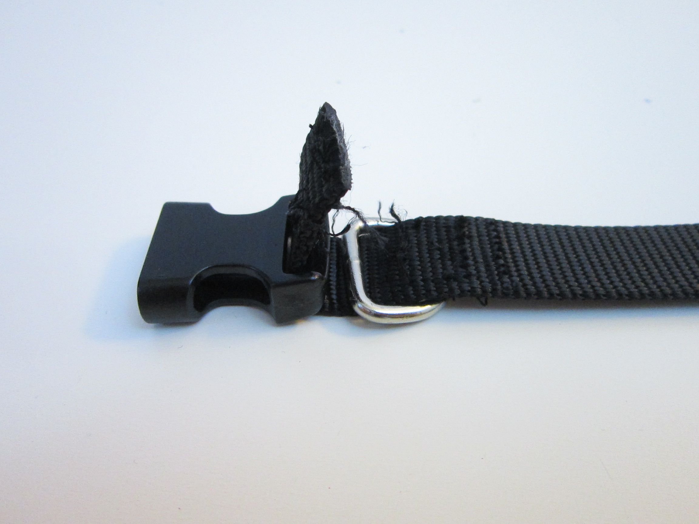 Upgrade a Dog Collar : 6 Steps (with Pictures) - Instructables