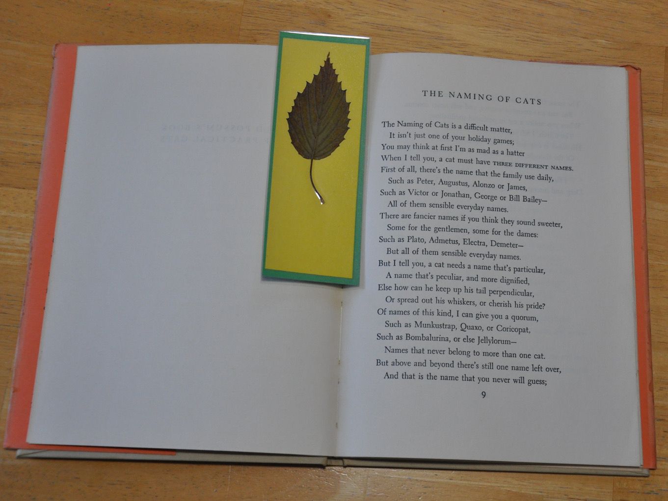 Pressed Leaf Bookmarks : 9 Steps (with Pictures) - Instructables