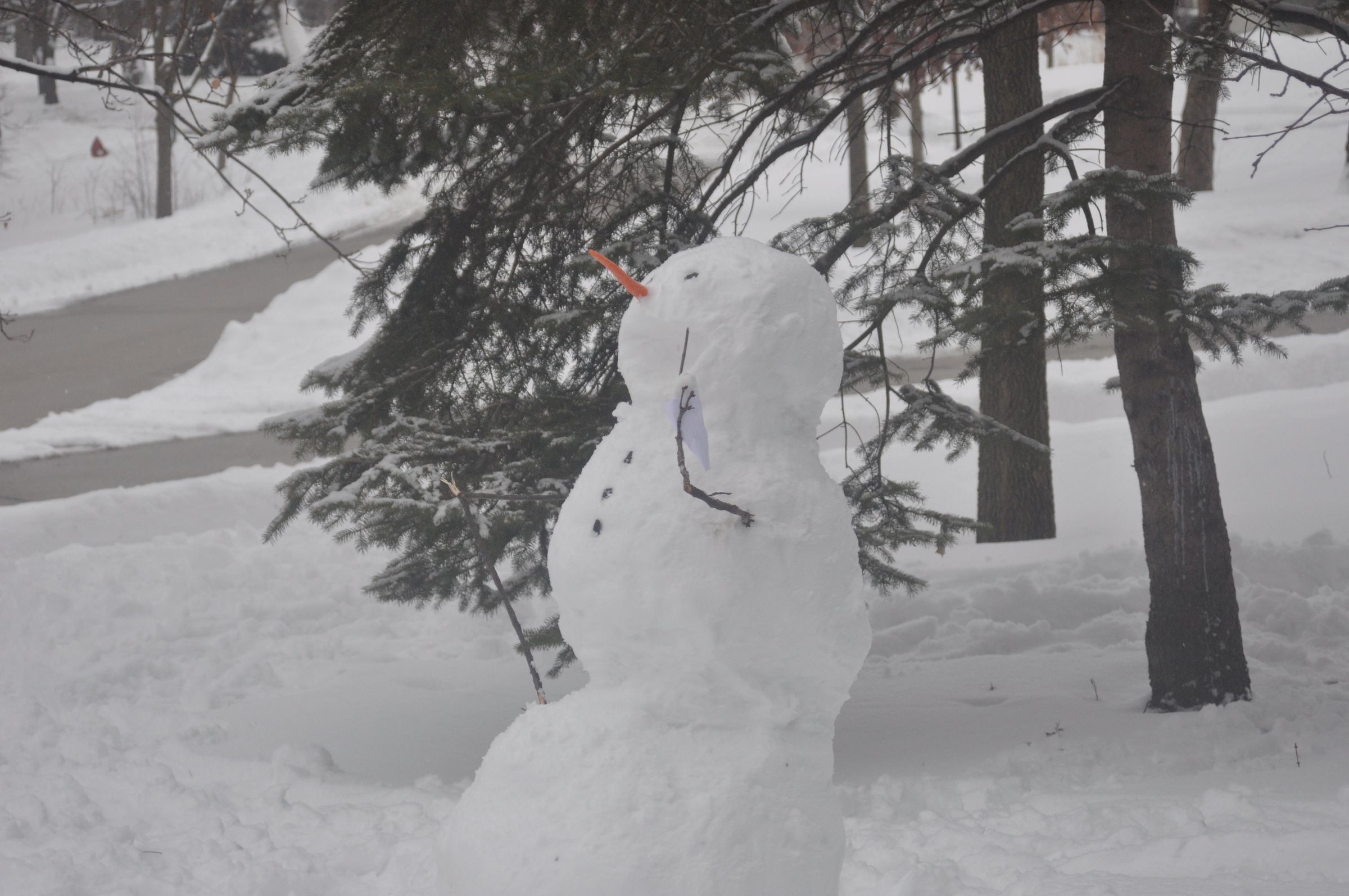 Calvin And Hobbes Snow Fort
