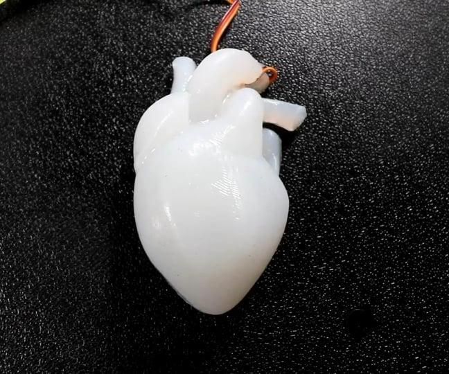 Realistic Beating Heart With Arduino : 5 Steps (with Pictures ...