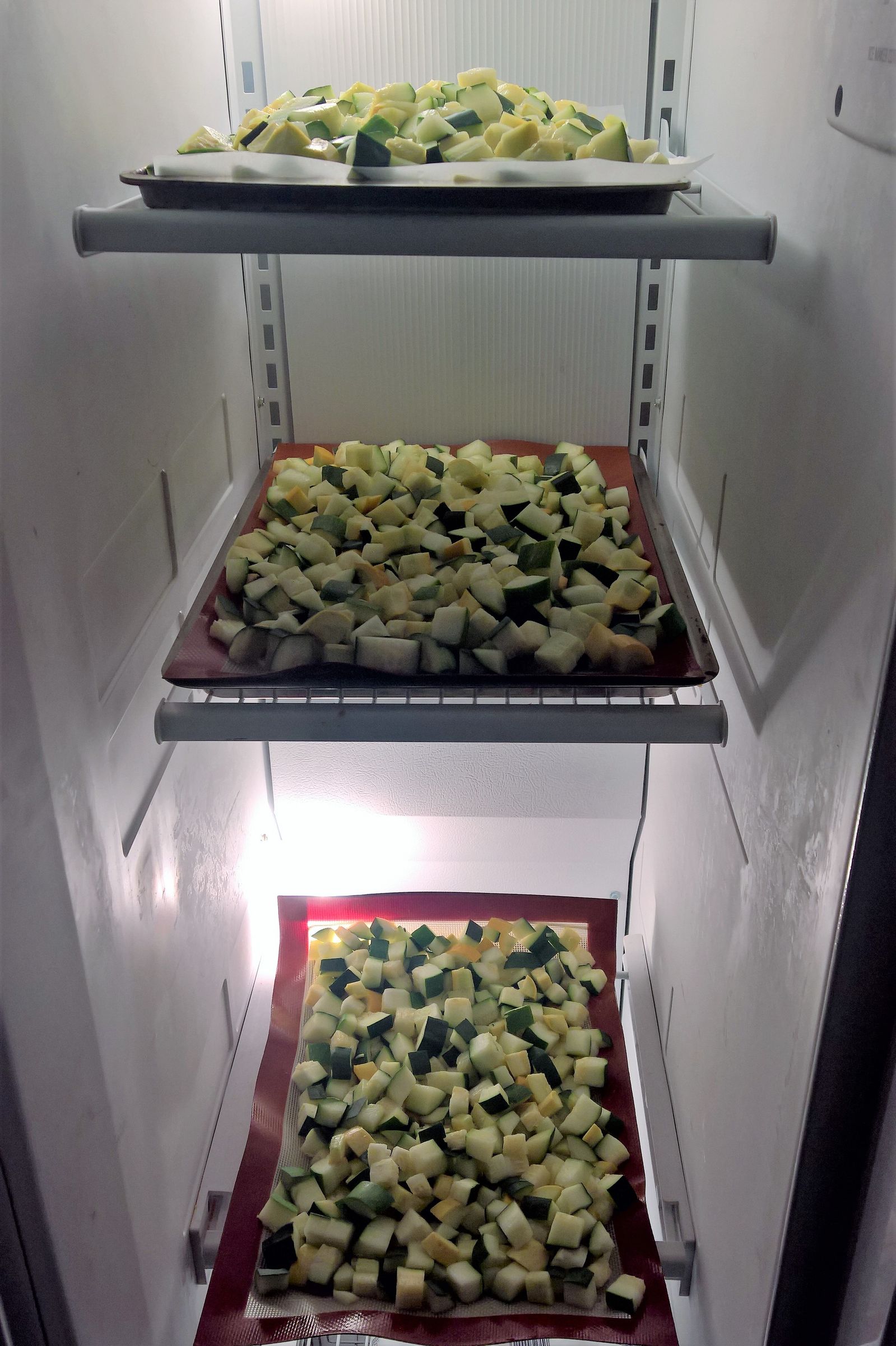 Preserving Summer Squash/zucchini : 4 Steps (with Pictures) - Instructables