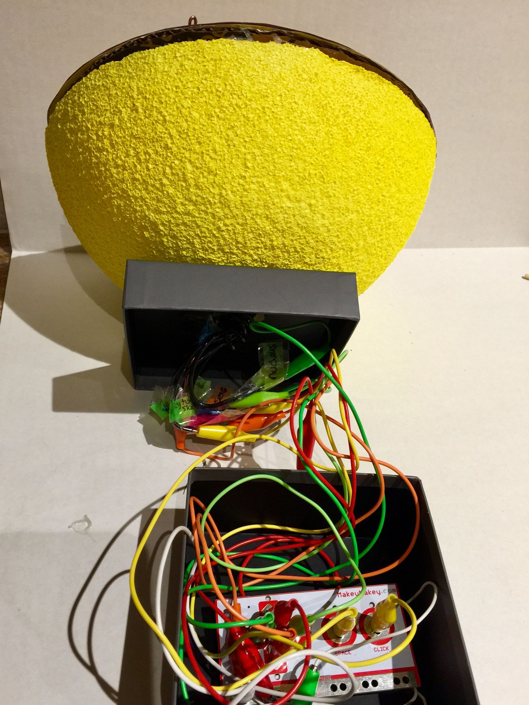 Interactive Cell Model : 28 Steps (with Pictures) - Instructables
