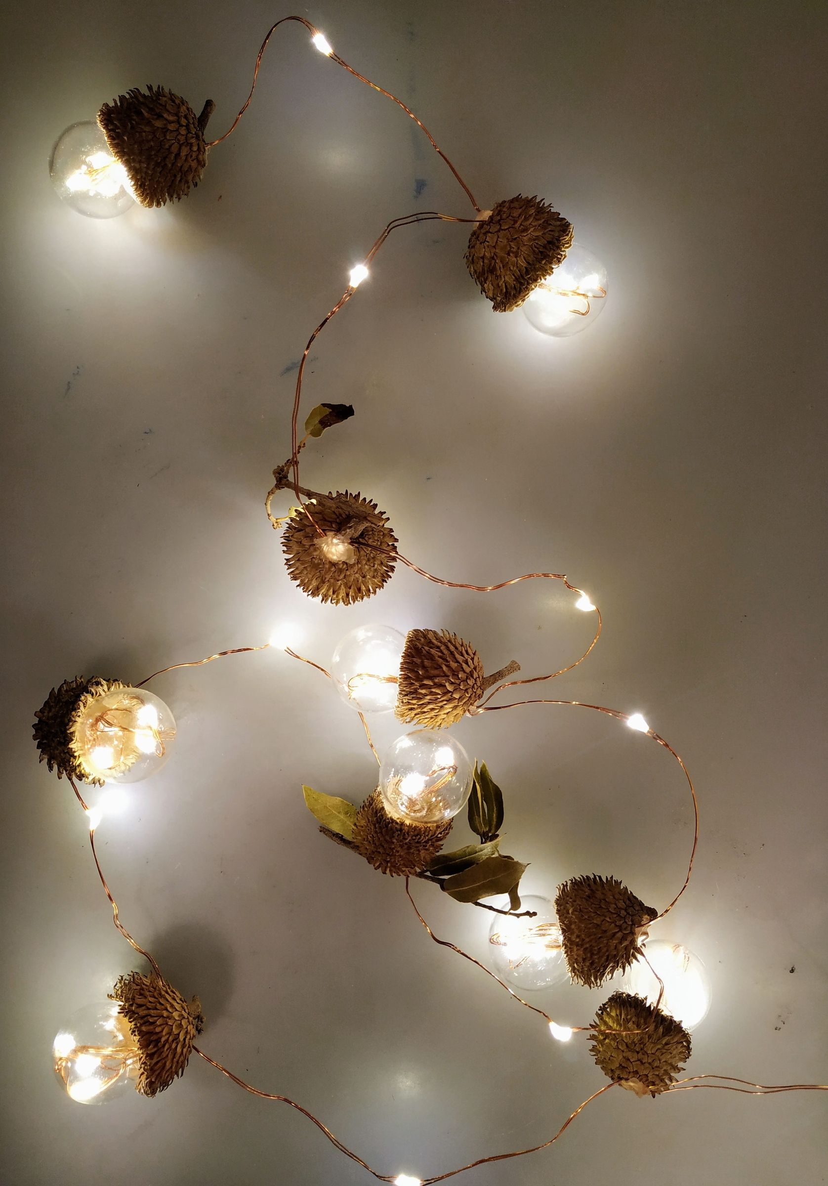 Tiny Acorn Light Bulbs!!! : 3 Steps (with Pictures) - Instructables