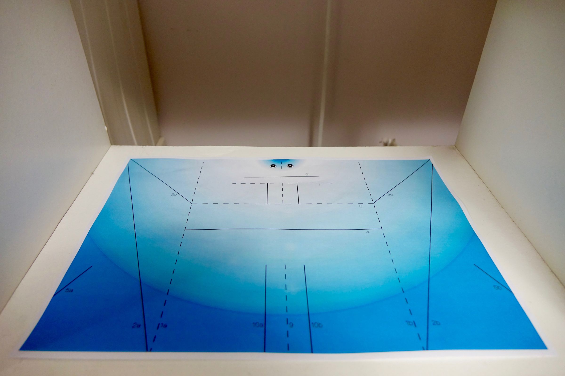 Flapping Paper Plane (Print Version) : 15 Steps (with Pictures ...