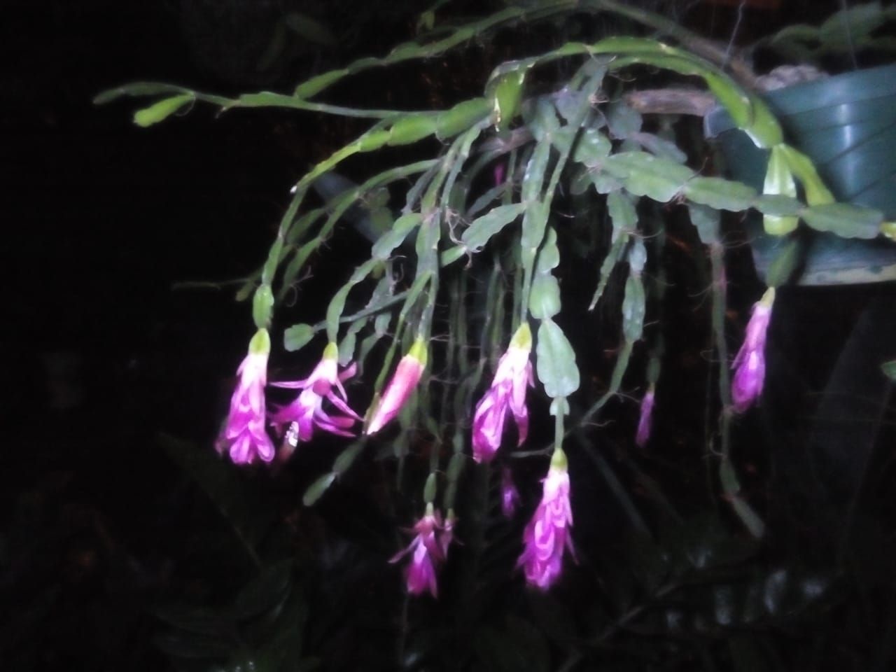 PVC GI Angle Head LED Flashlight : 7 Steps - Instructables