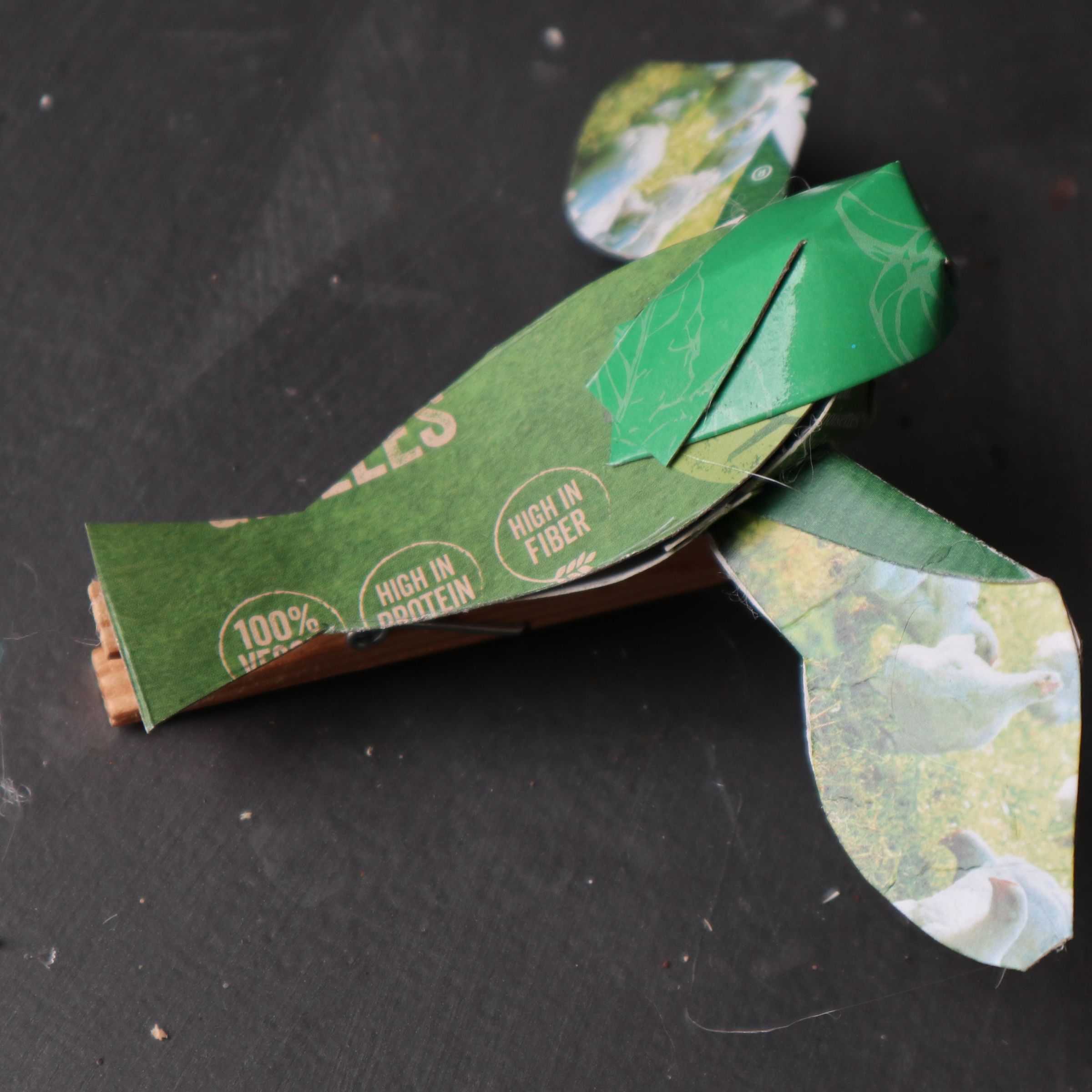 Little Green Peg Parrot : 9 Steps (with Pictures) - Instructables