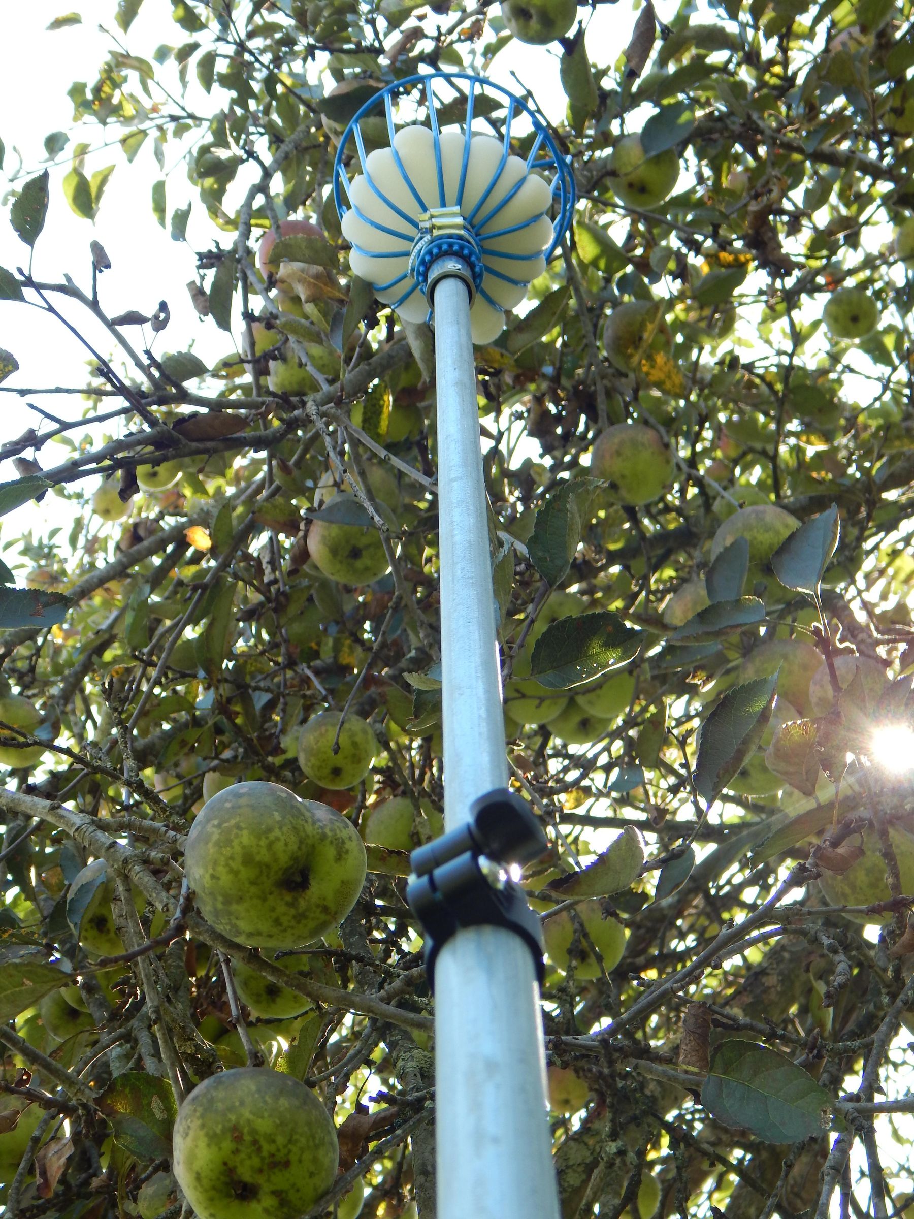DIY Fruit Picker Pole Made From EMT Conduit : 6 Steps - Instructables