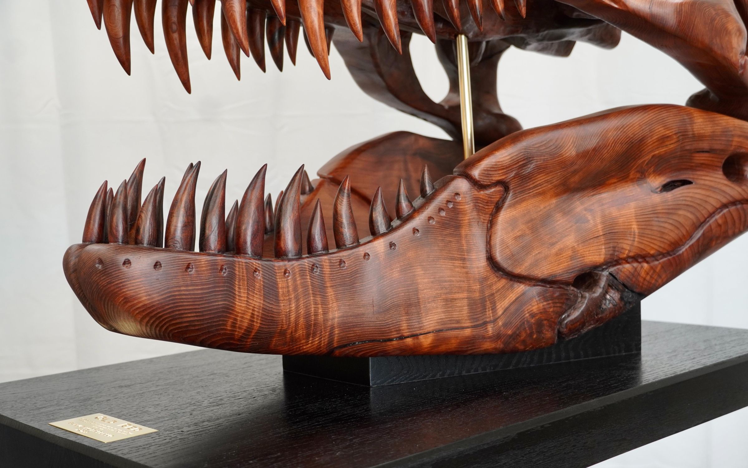 T-Rex Skull Carved From Ancient Wood : 9 Steps (with Pictures ...