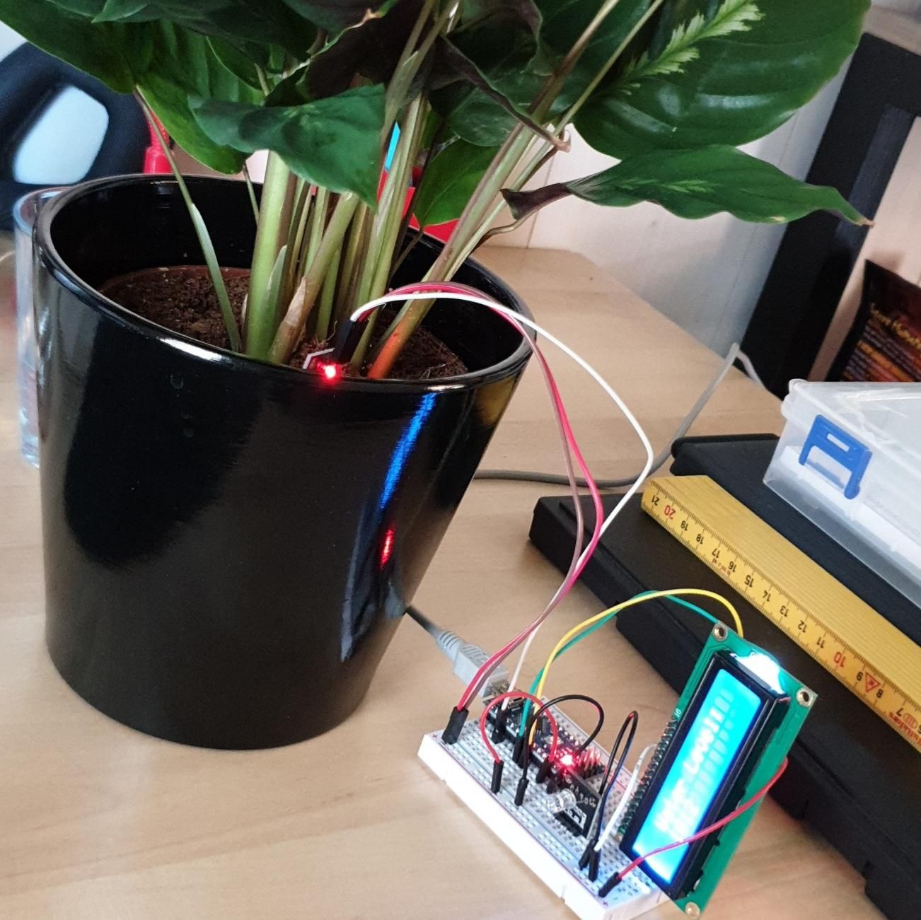 Build Your Own Plant Humidity Sensor : 7 Steps (with Pictures ...