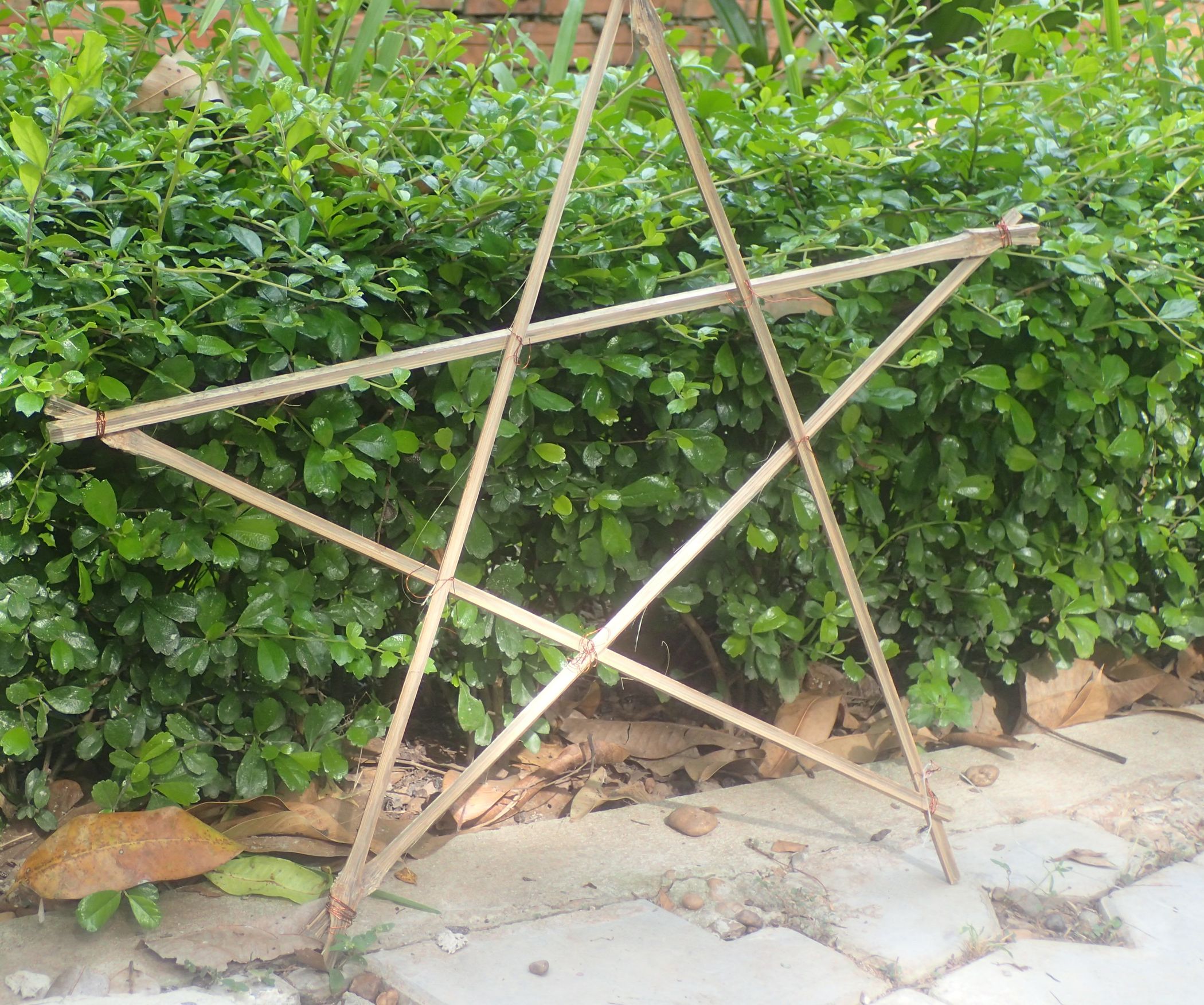 Bamboo Star : 4 Steps - Instructables