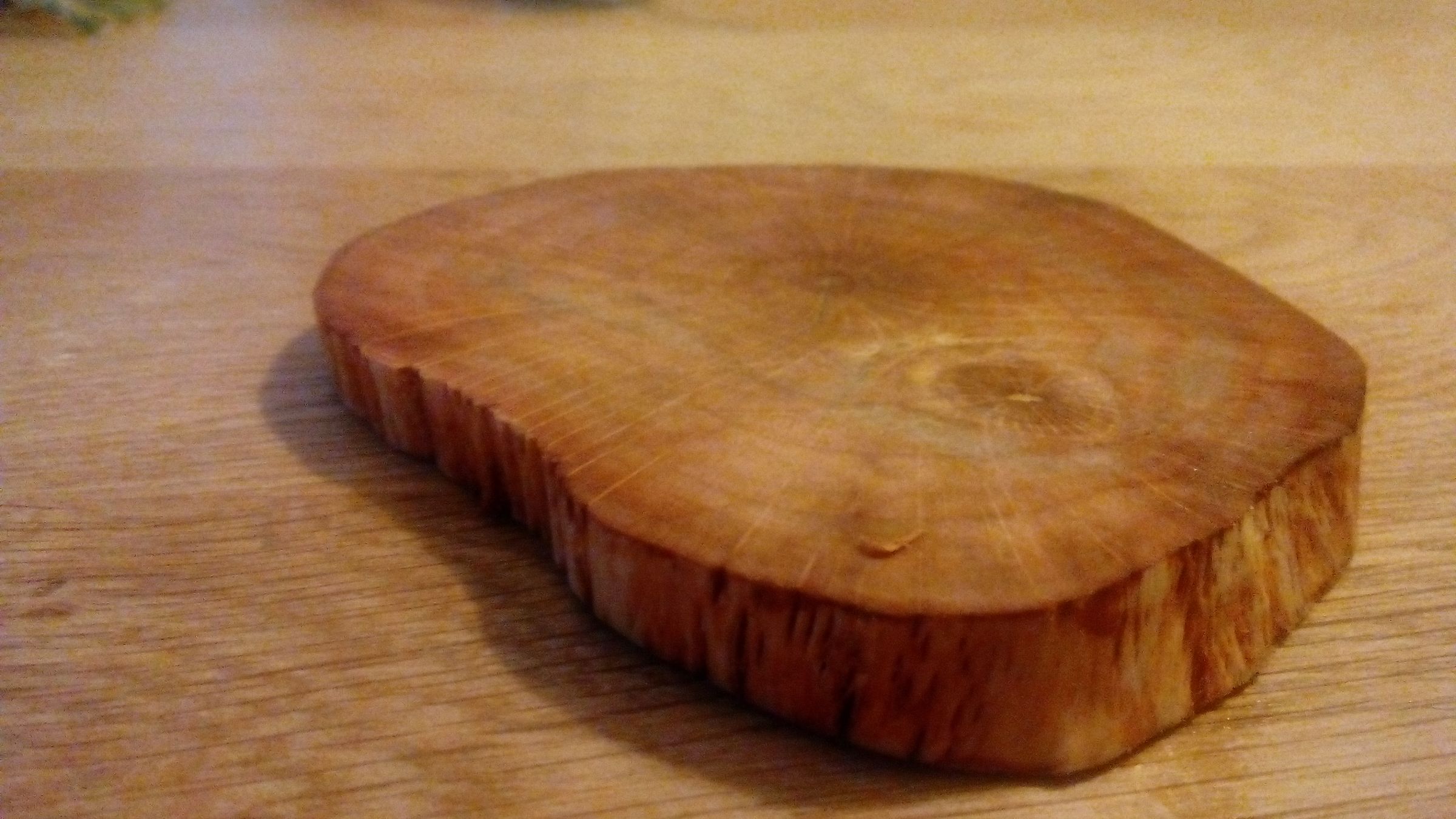 Tree Trunk Trivet (for Starters or Kids) : 4 Steps (with Pictures ...