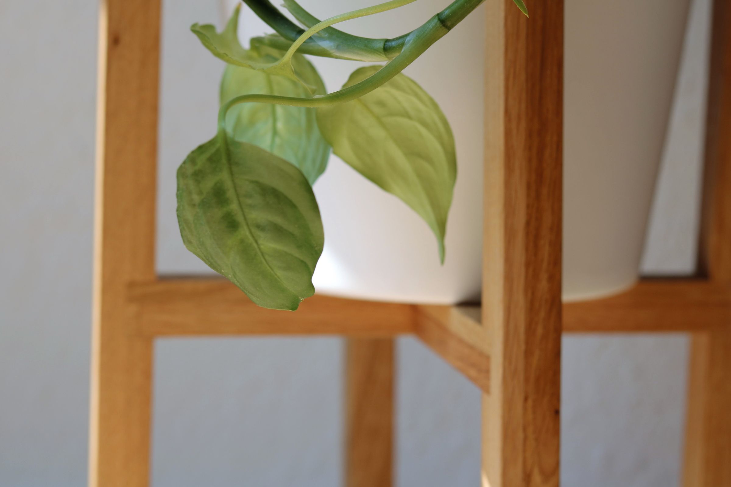 // SIMPLE & LOW BUDGET // Plant Stand : 6 Steps (with Pictures ...