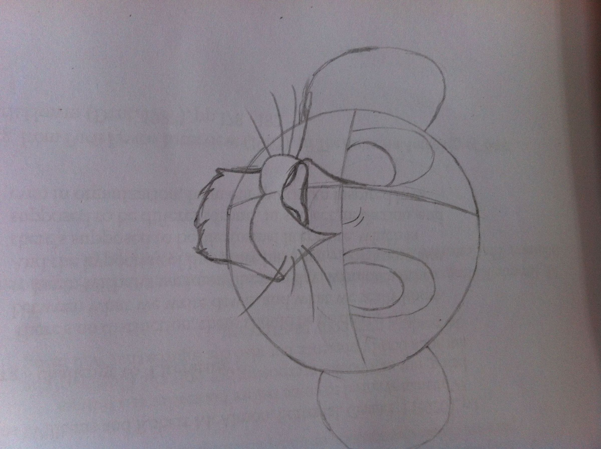 How to Draw Simba : 19 Steps - Instructables