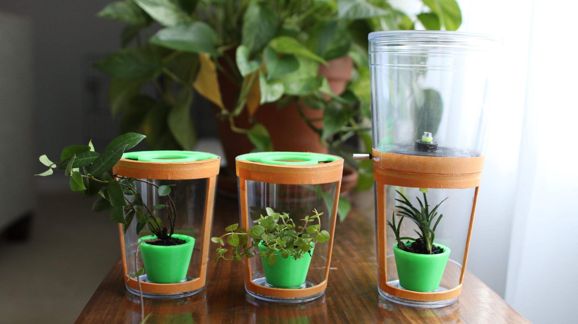 Plant Watering Cup : 9 Steps (with Pictures) - Instructables