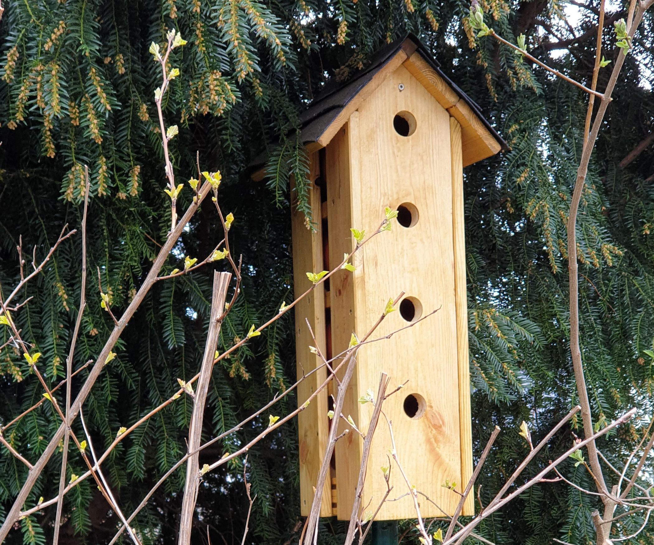 Sparrow Community House - Instructables