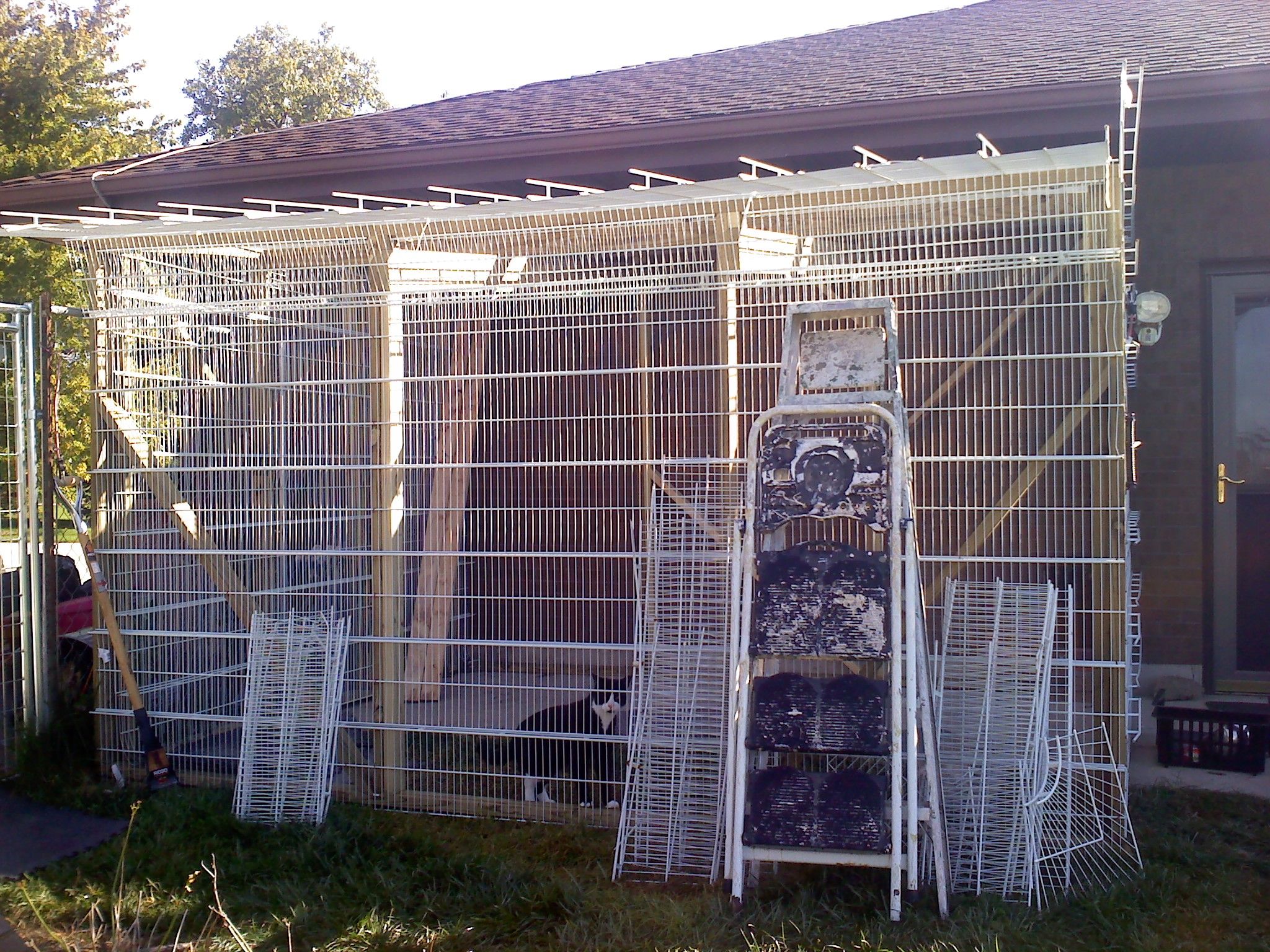 Cat Enclosure - Tunnel, Save Space ('CatWalk Is My Road' - AKahn ...