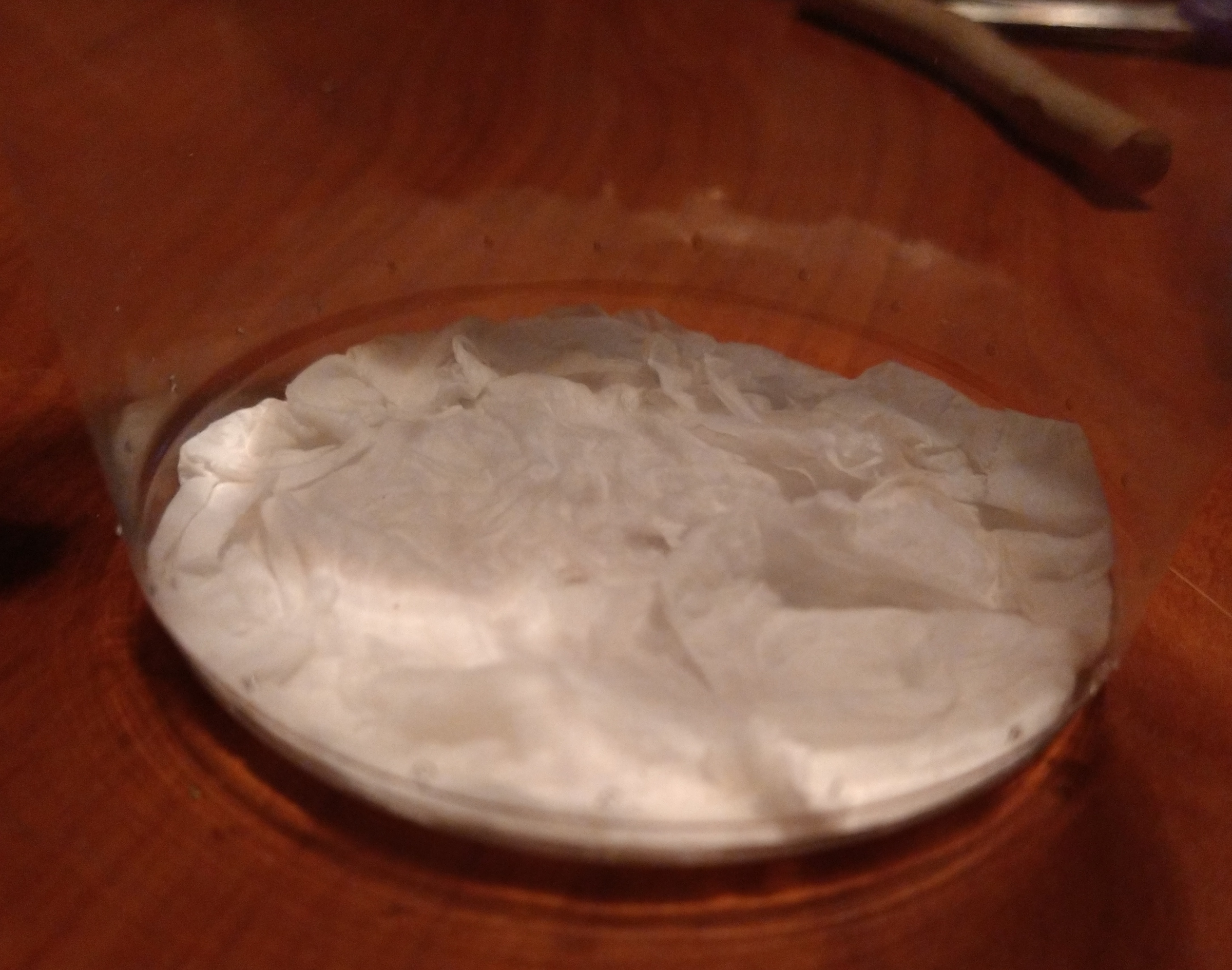 Perfect Praying Mantis Cups : 9 Steps (with Pictures) - Instructables