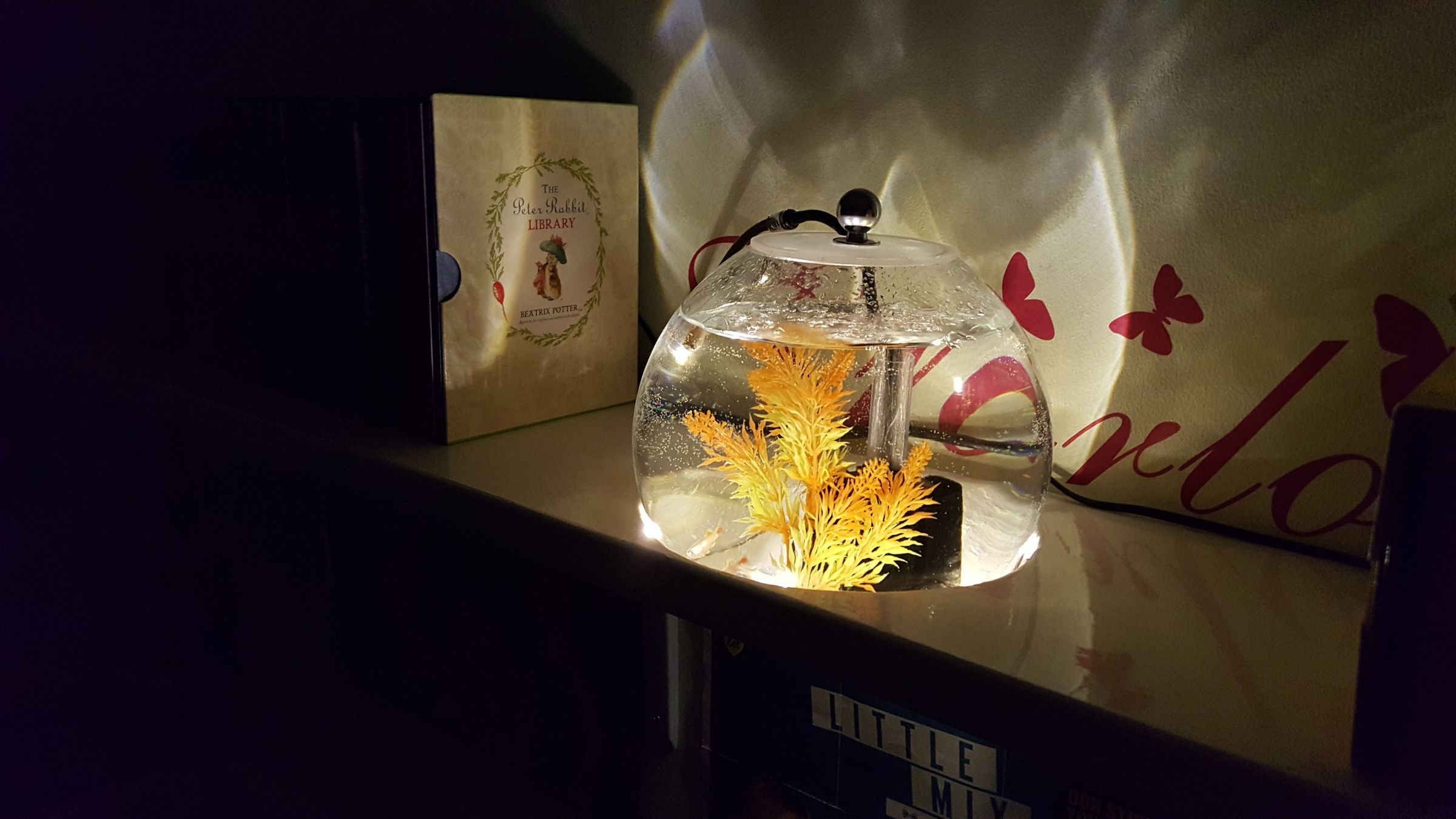 FiSHELF - the Fish Bowl Book Shelf : 7 Steps (with Pictures ...
