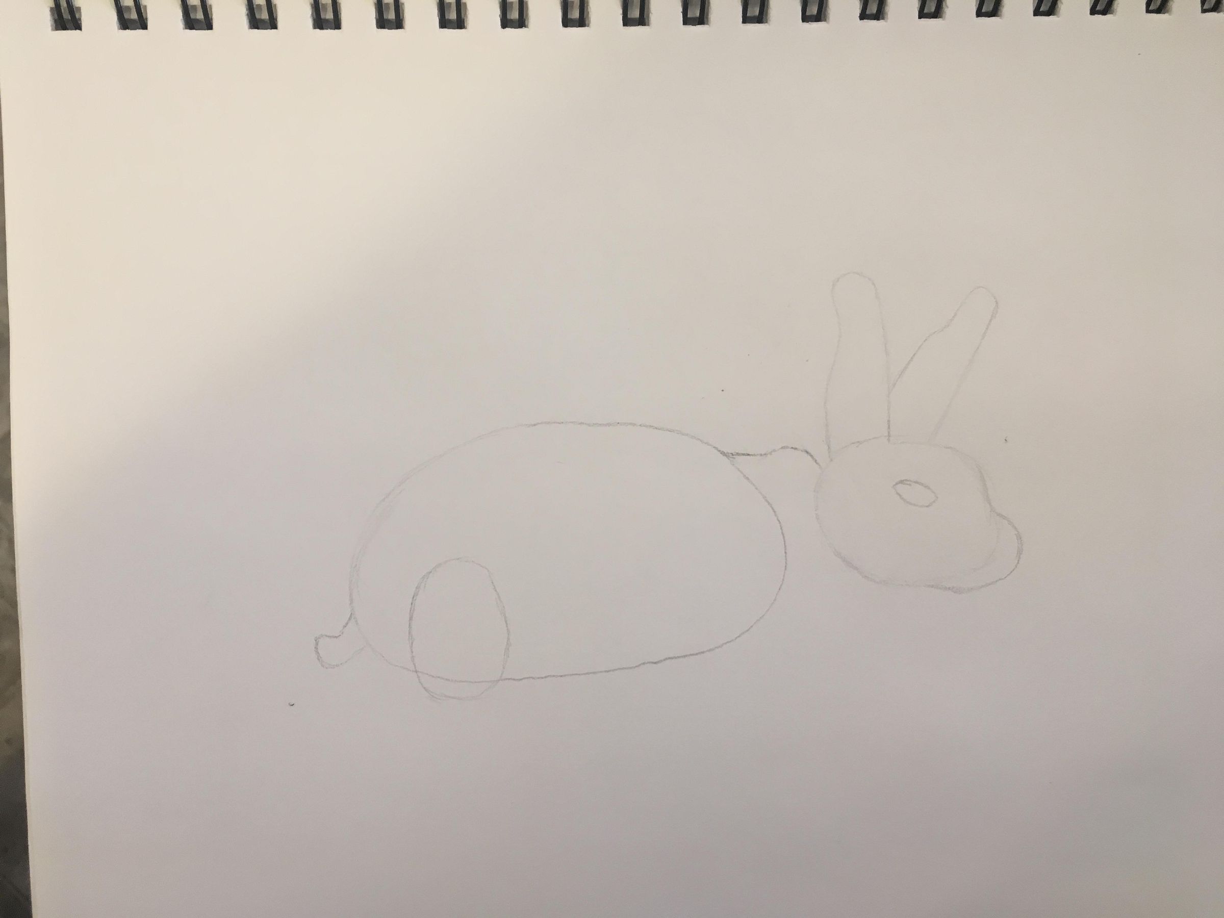 How to Draw a Realistic Bunny (standing) : 26 Steps - Instructables