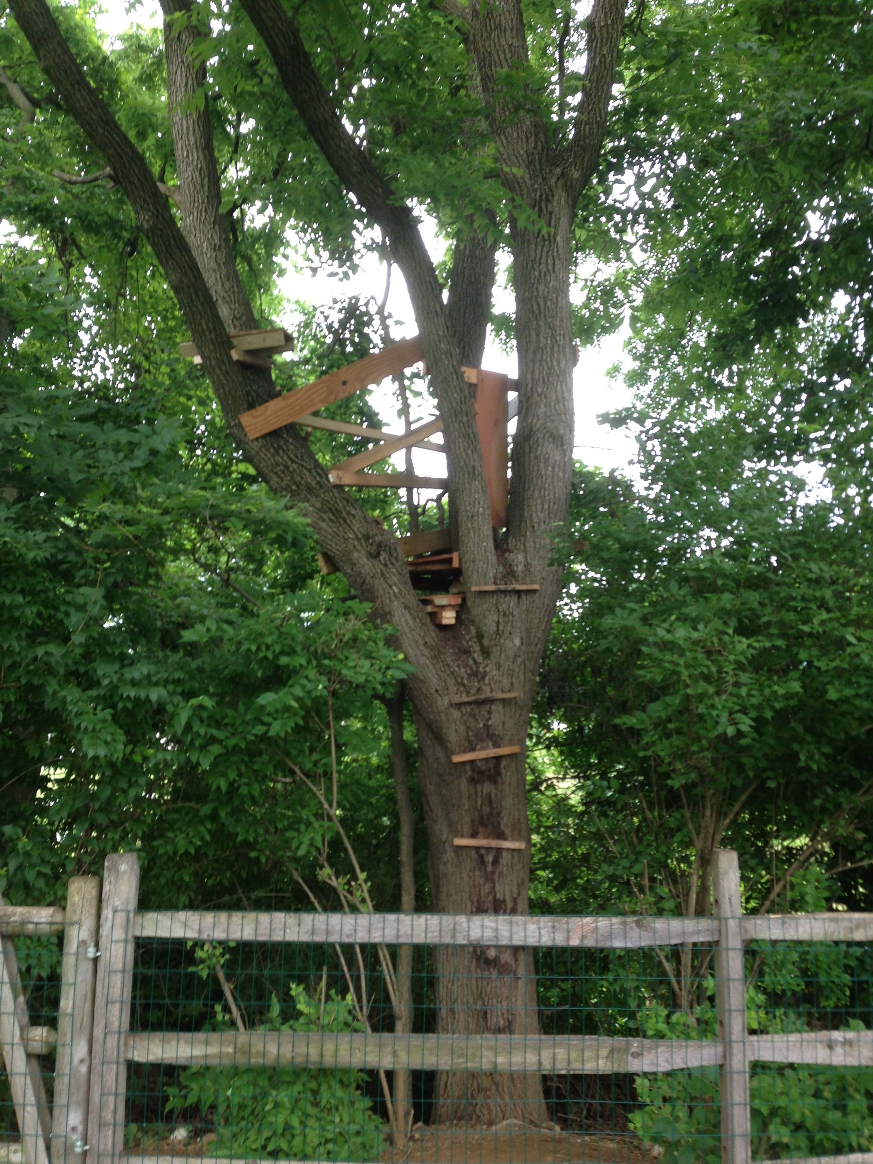 DIY Treehouse : 9 Steps - Instructables