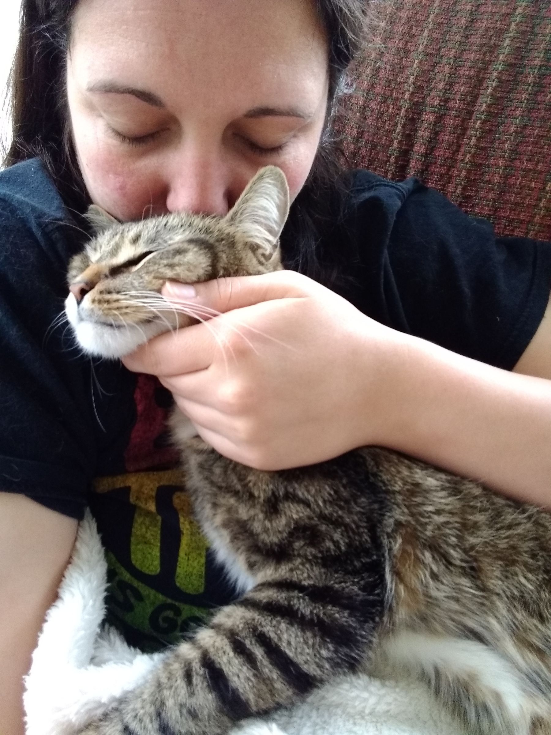 How To: Lull Your Cat to Sleep : 14 Steps (with Pictures) - Instructables