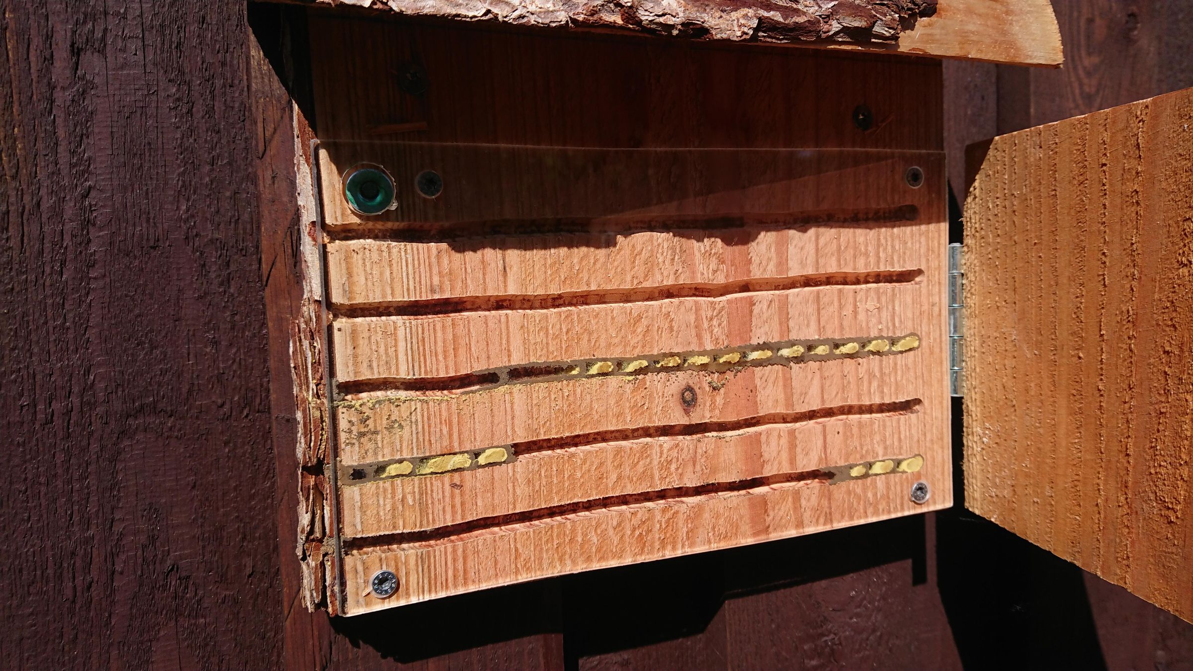 Bee Observatory : 4 Steps (with Pictures) - Instructables