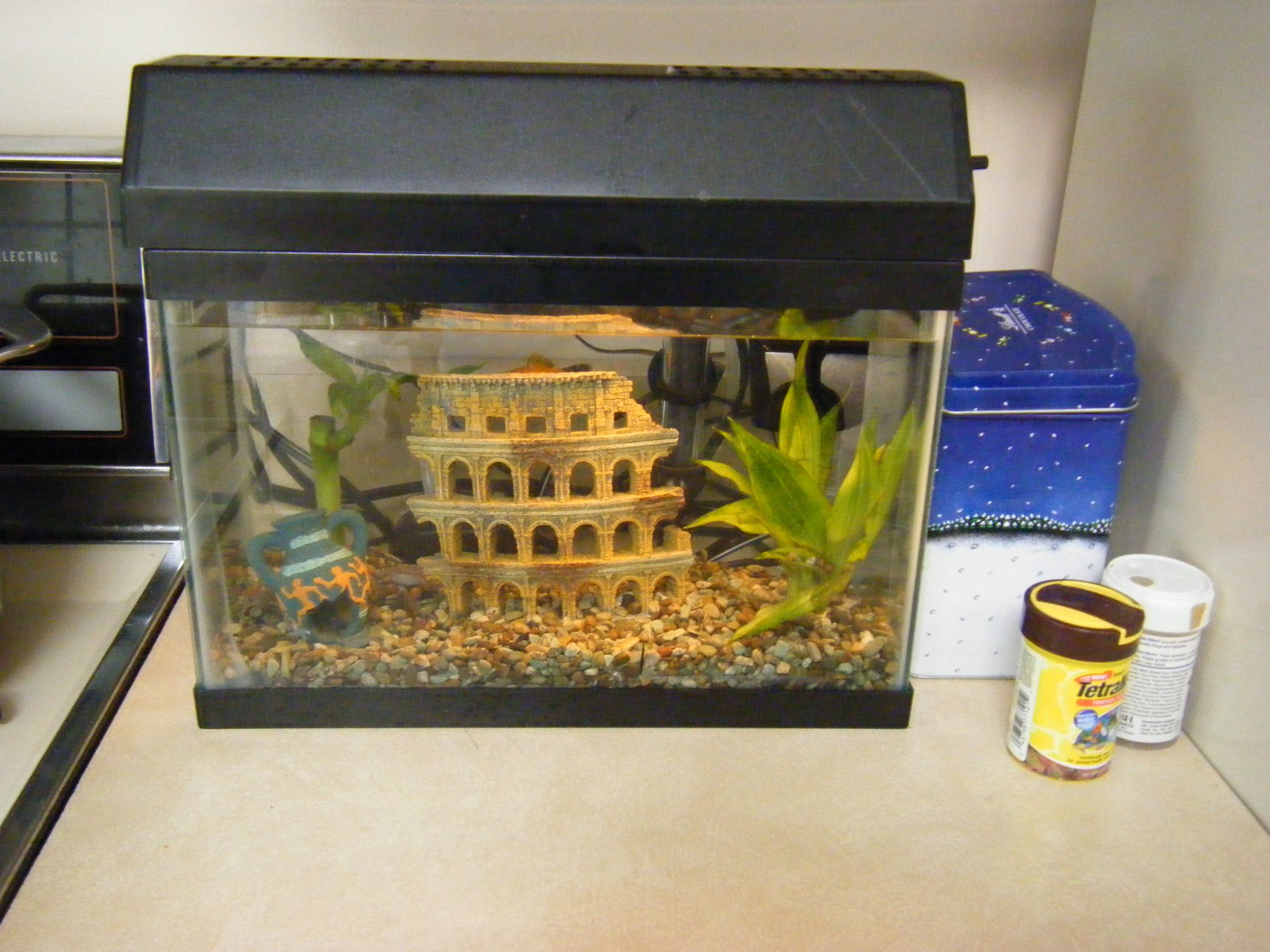 The Aqua-Replenisher! : 7 Steps (with Pictures) - Instructables