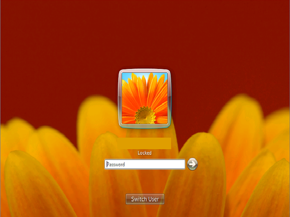 Windows 7 Log On Screen Username