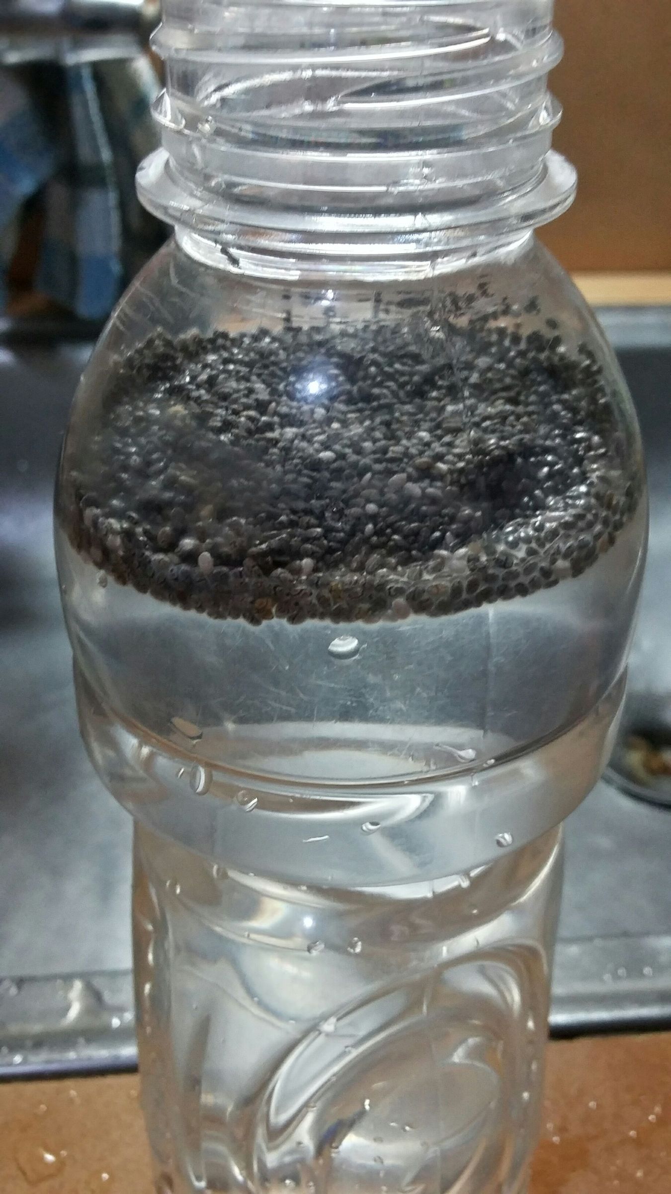 Iskiate (Chia Fresca) Natural Energy Drink : 3 Steps (with Pictures ...