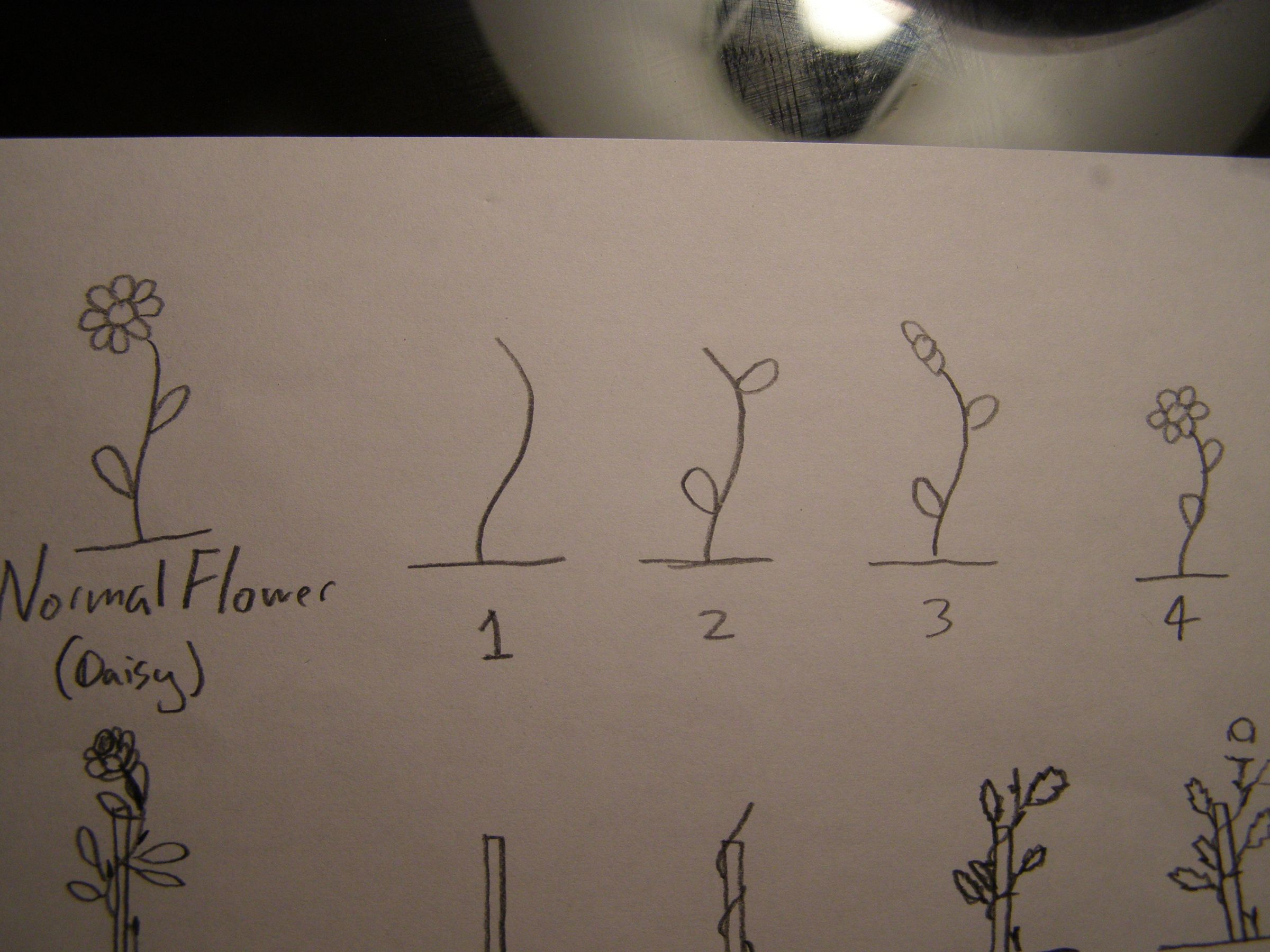 How to Draw Flowers : 6 Steps - Instructables