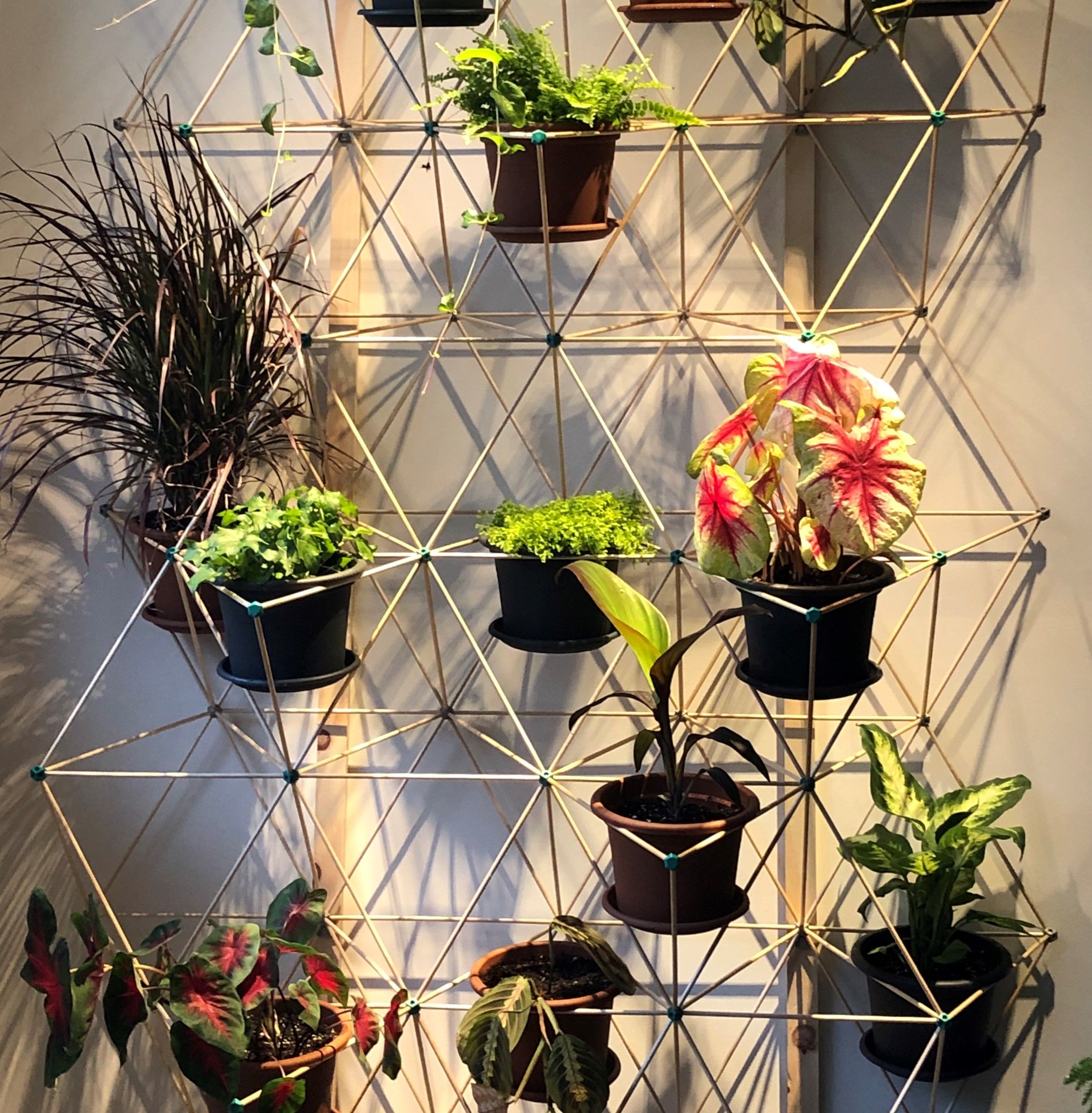 Green Wall Lattice : 8 Steps (with Pictures) - Instructables