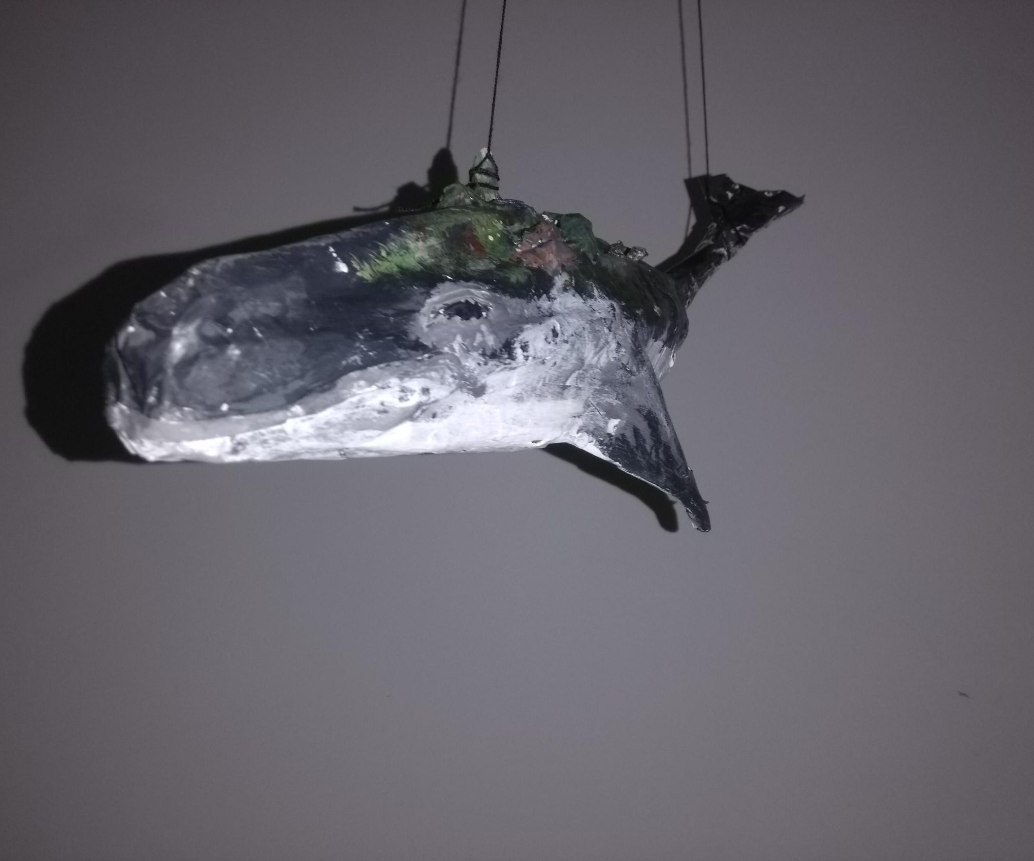 Magic Whale : 7 Steps - Instructables