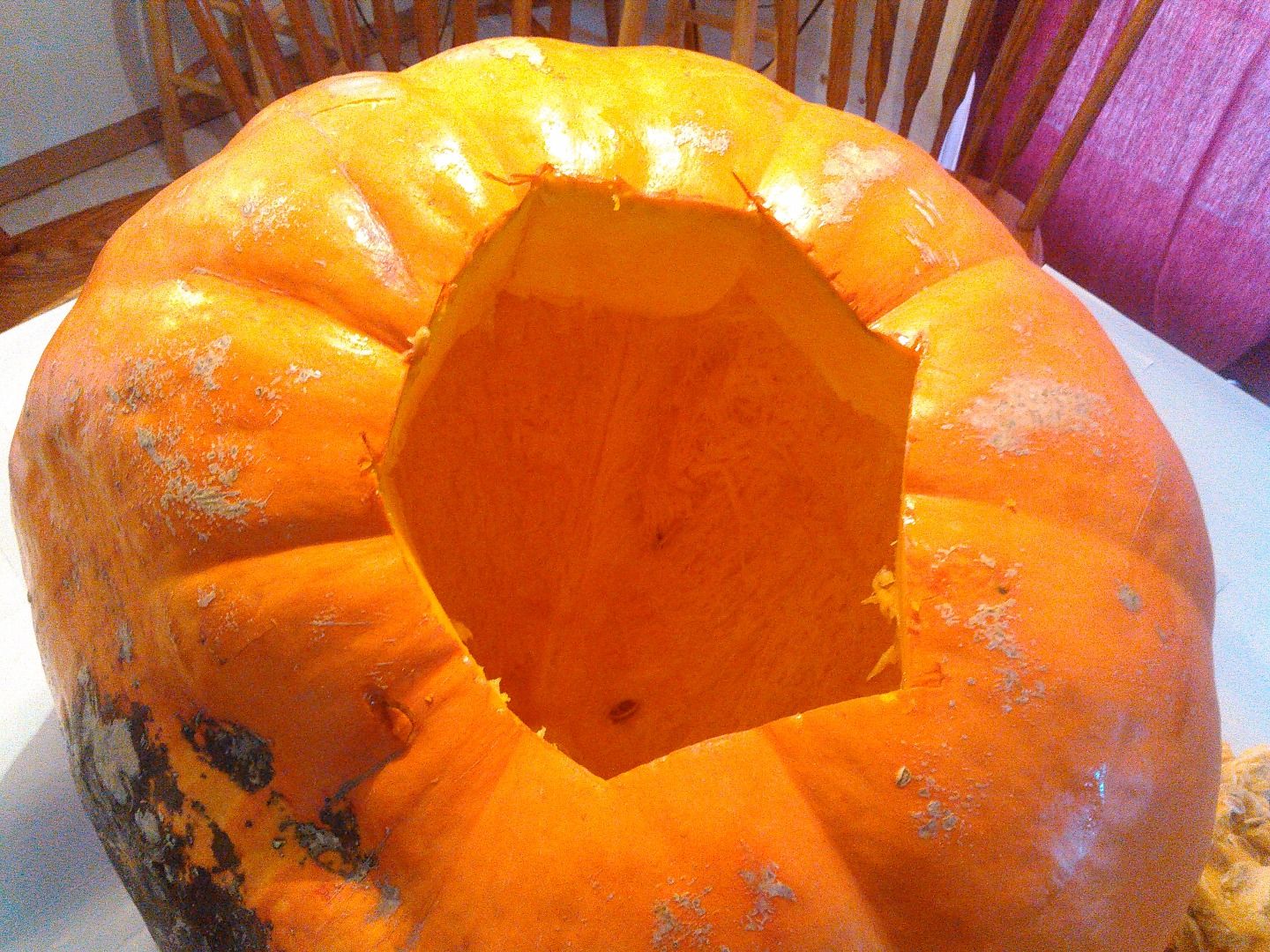 Chomper the Cannibal Pumpkin : 9 Steps (with Pictures) - Instructables