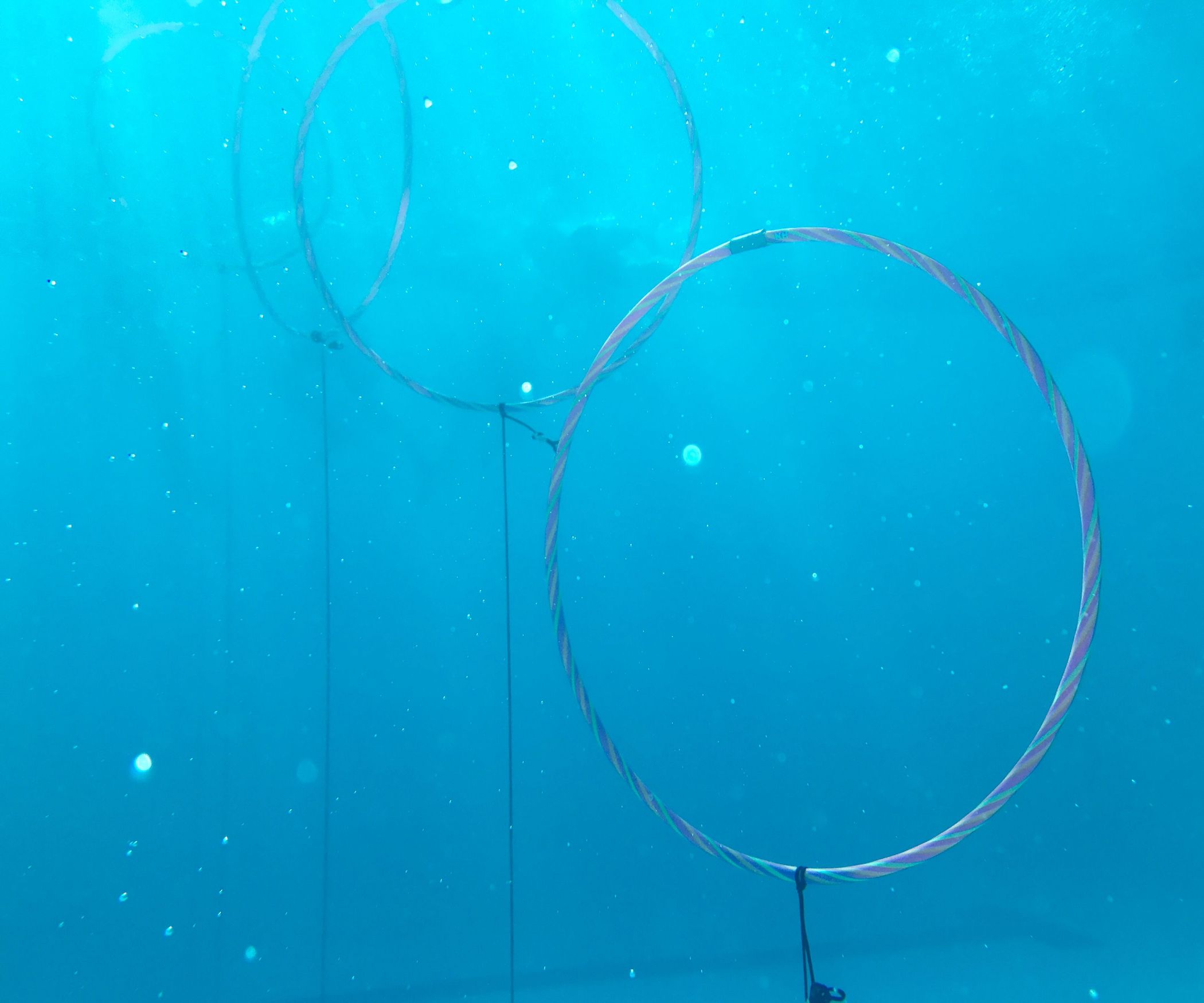 Underwater Diving Rings : 9 Steps (with Pictures) - Instructables